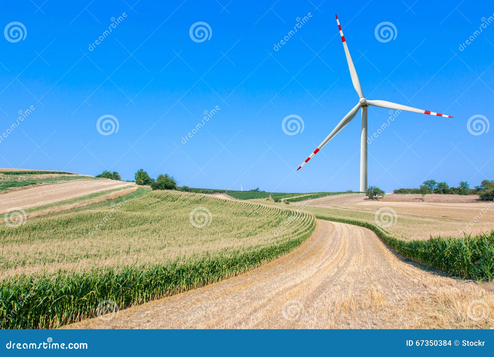 The Windmill on the Corn Field Stock Photo - Image of agriculture ...