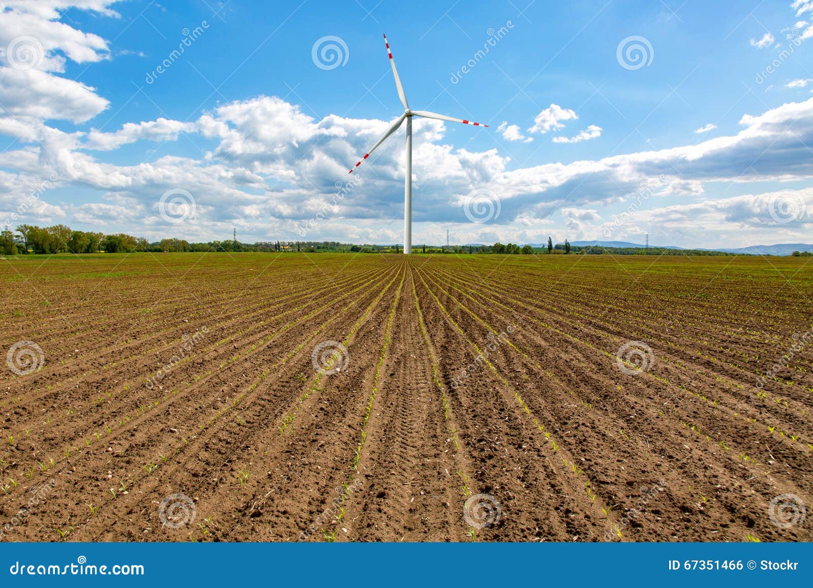 Windmill on the corn field stock photo. Image of colorful - 67351466