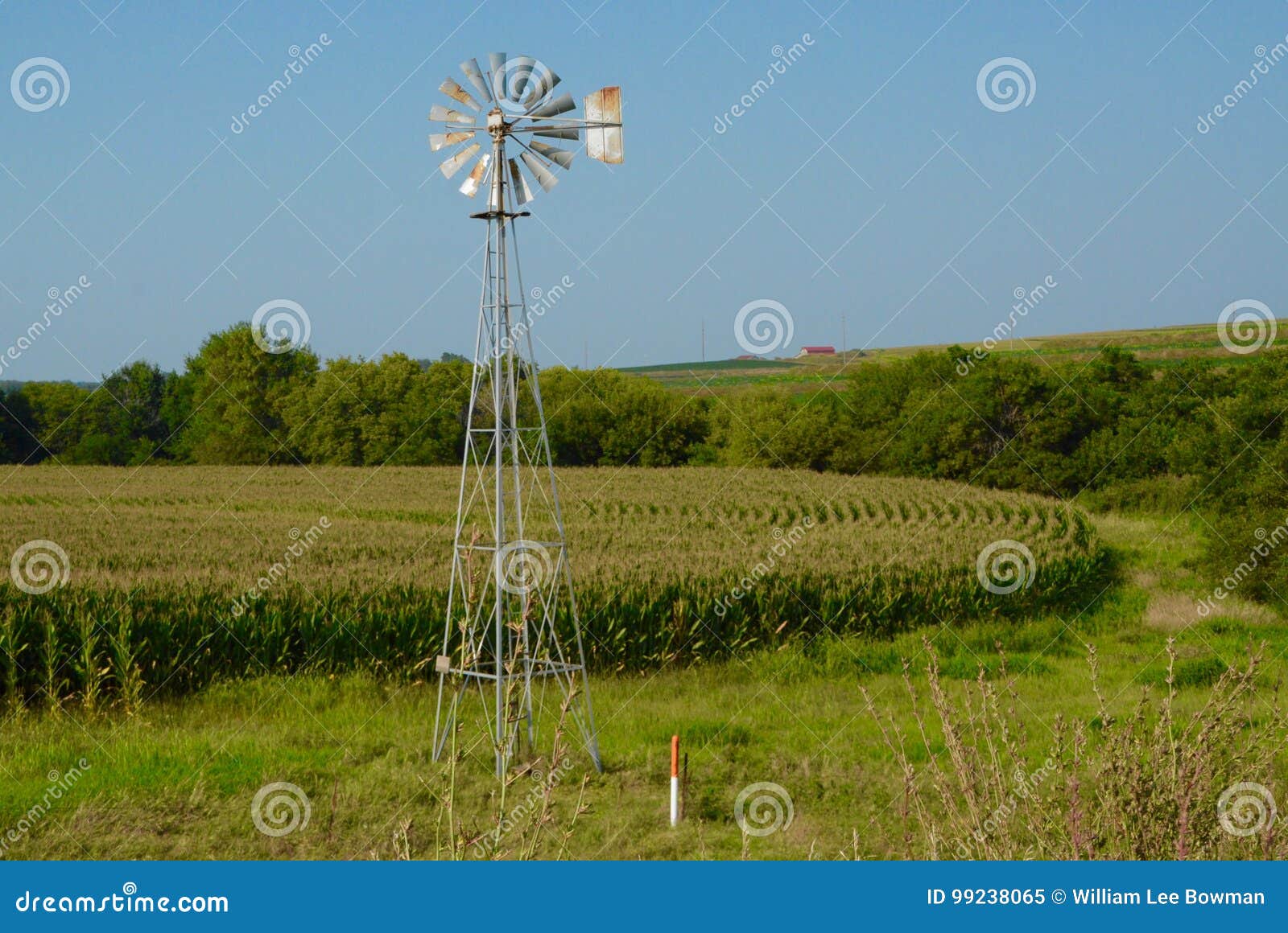 Windmill & Cornfield stock image. Image of rural - 99238065