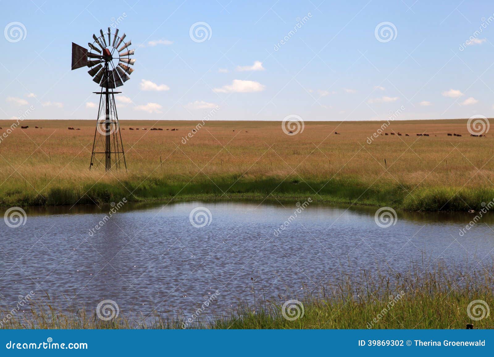 Windmill and dam. stock photo. Image of farm, landscape - 39869302