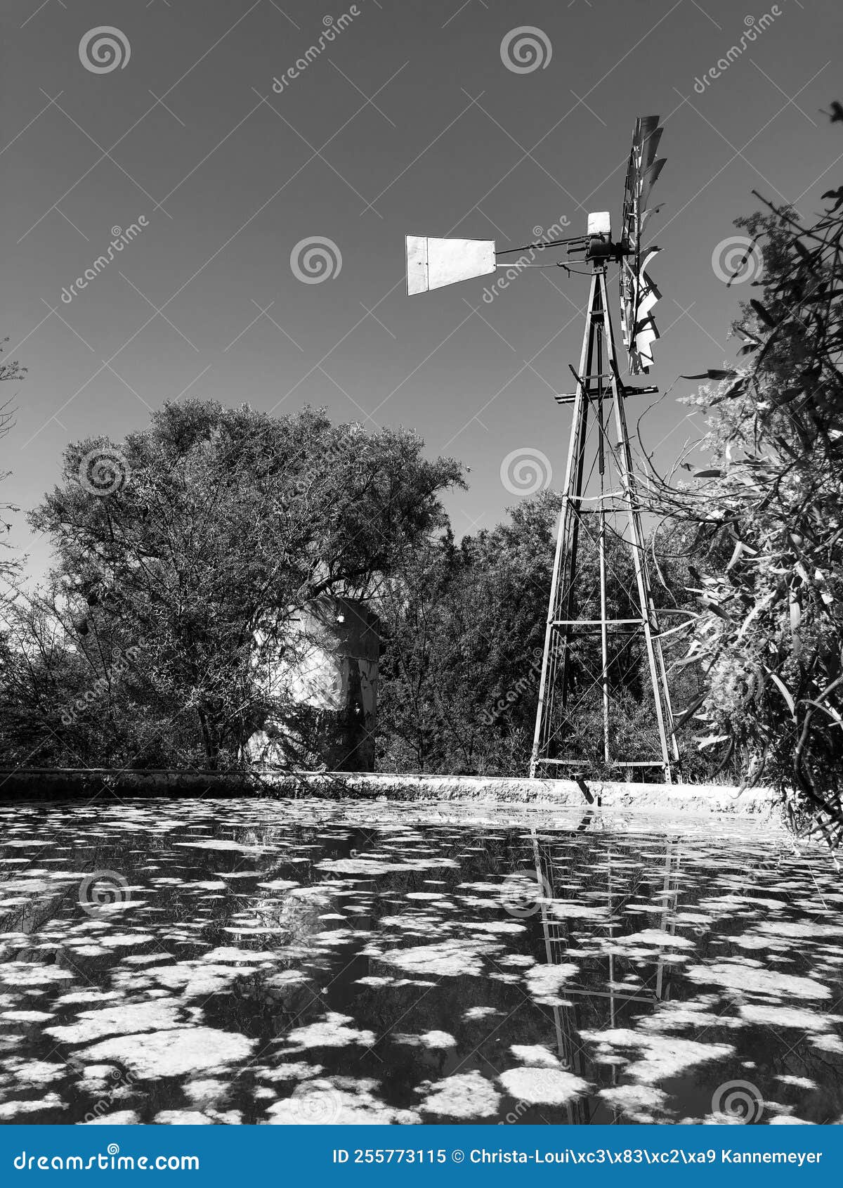 The windmill and the dam stock image. Image of windmill - 255773115
