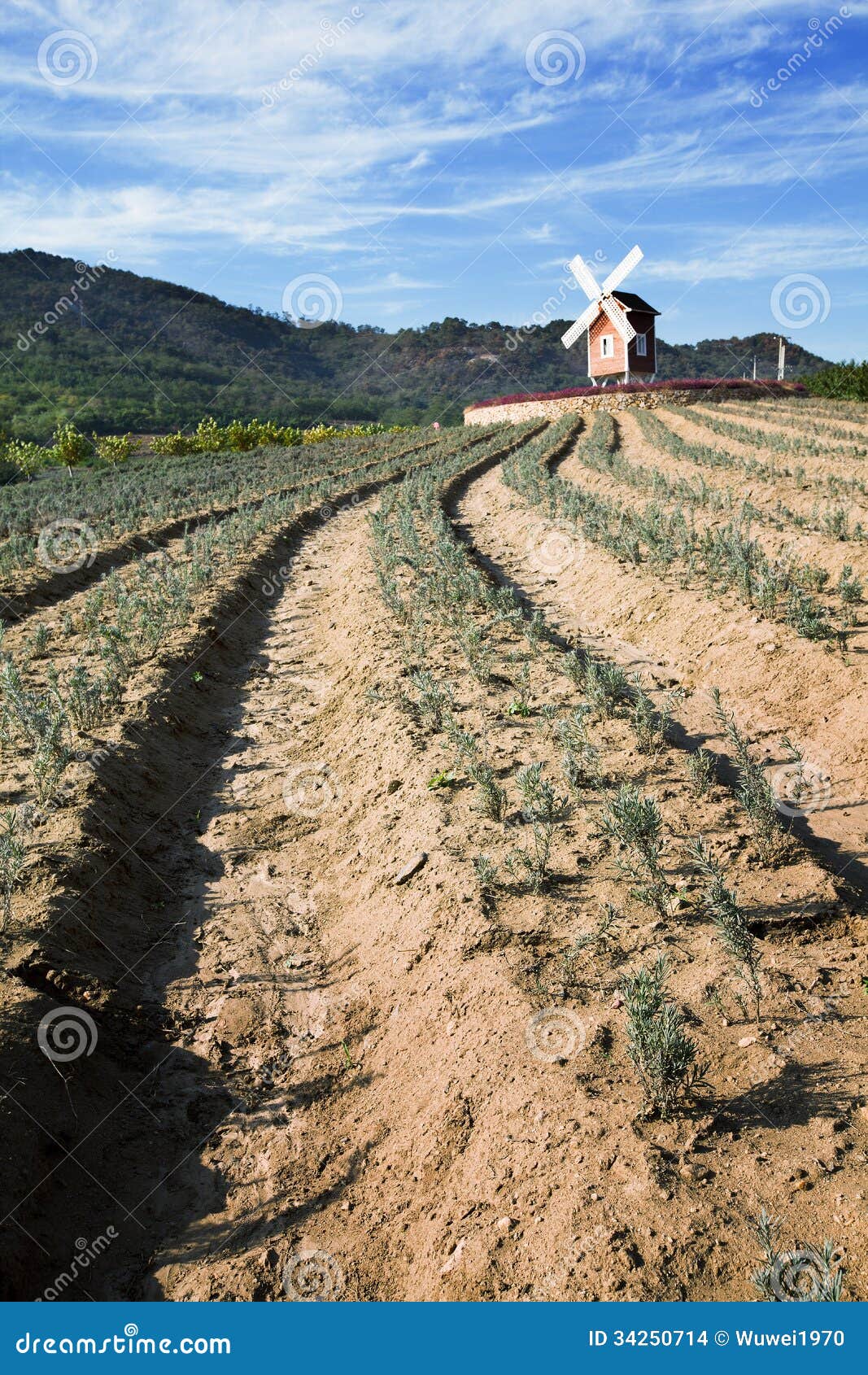 Windmill stock photo. Image of historical, holland, ecology - 34250714