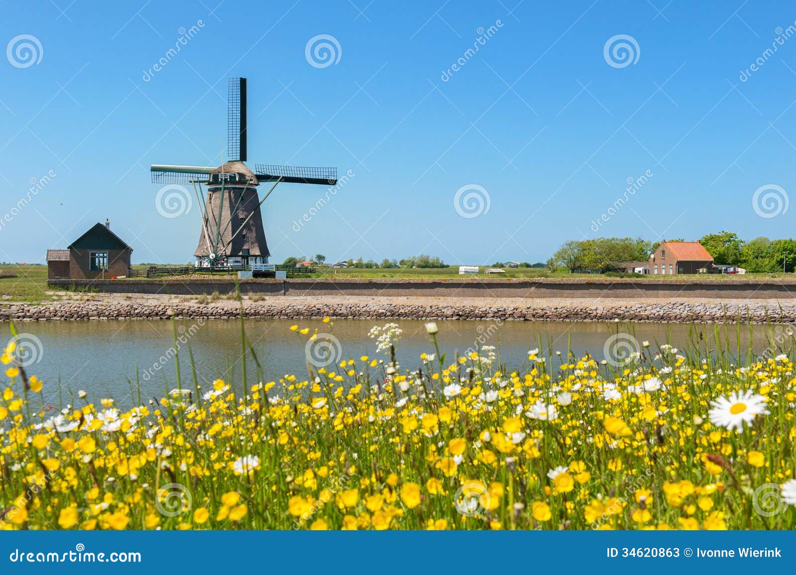 Windmill at Dutch Island Texel Stock Image - Image of wild, colorful ...