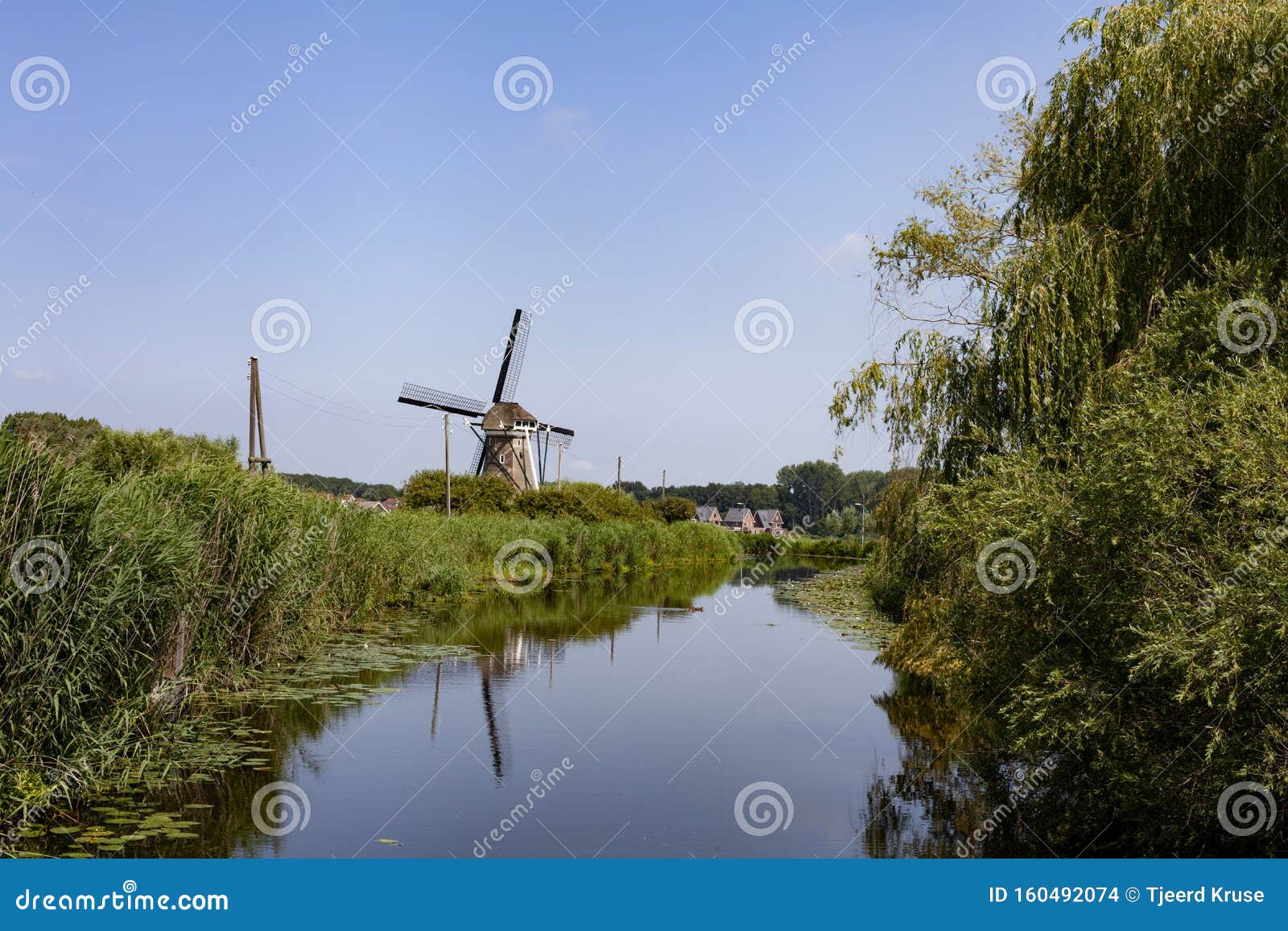 Windmill Farm River Landscape. Windmill Farm Scene. Village Windmill ...