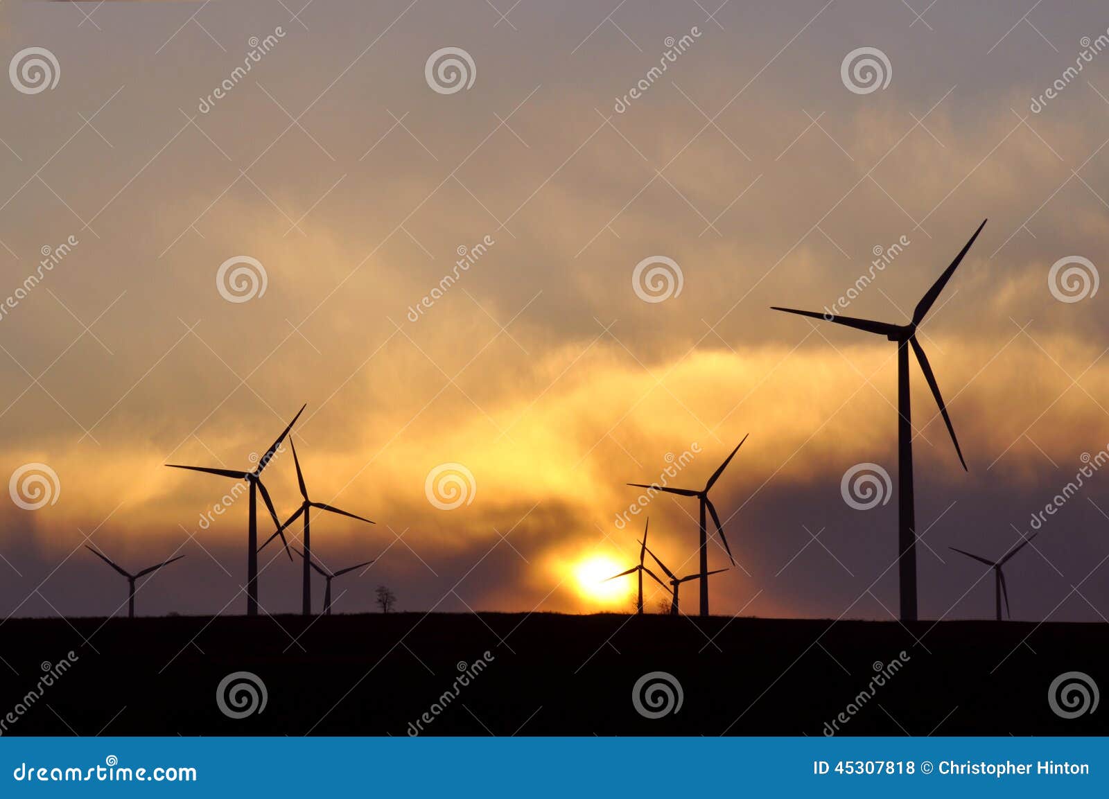 Windmill Farm at Sunset stock photo. Image of country - 45307818