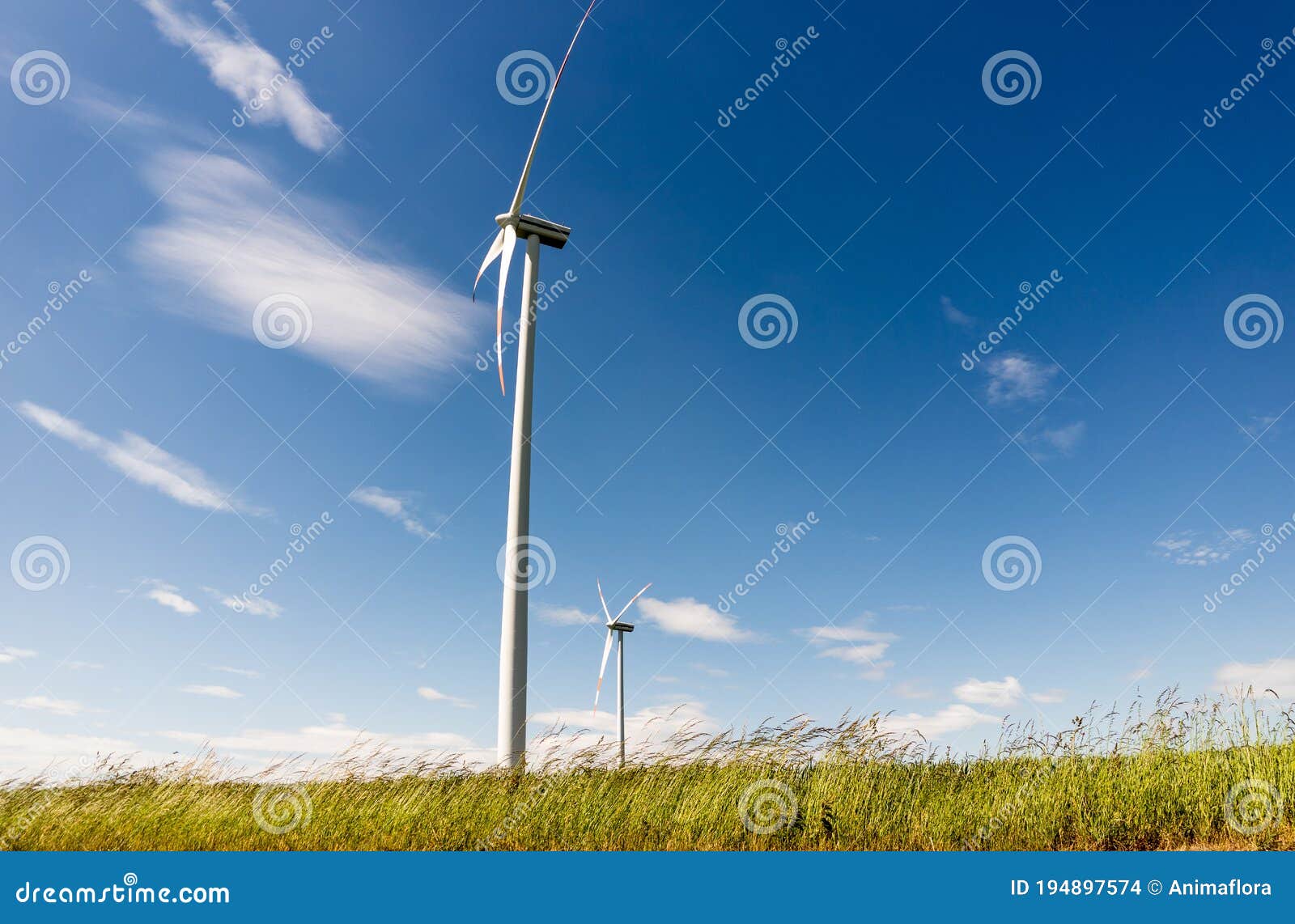 Windmill on the Field Image Stock Photo - Image of environment ...