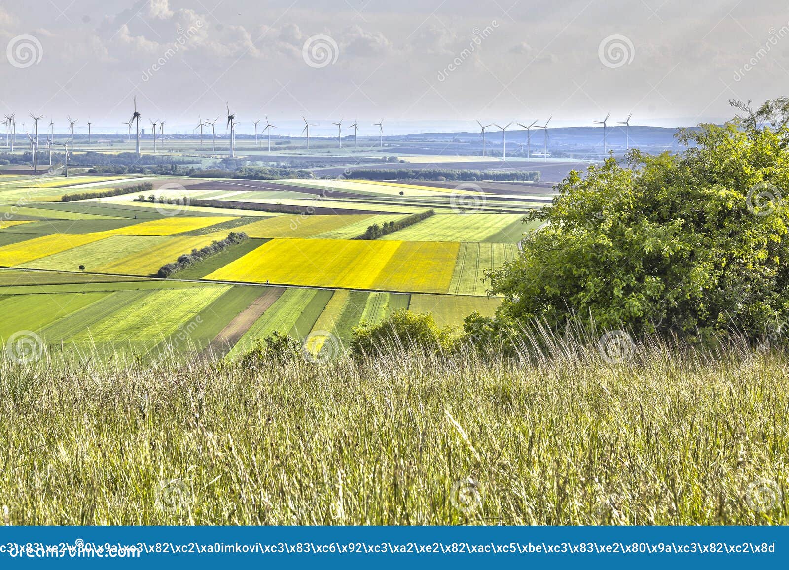 Windmill fields land stock image. Image of arable, rays - 80889357