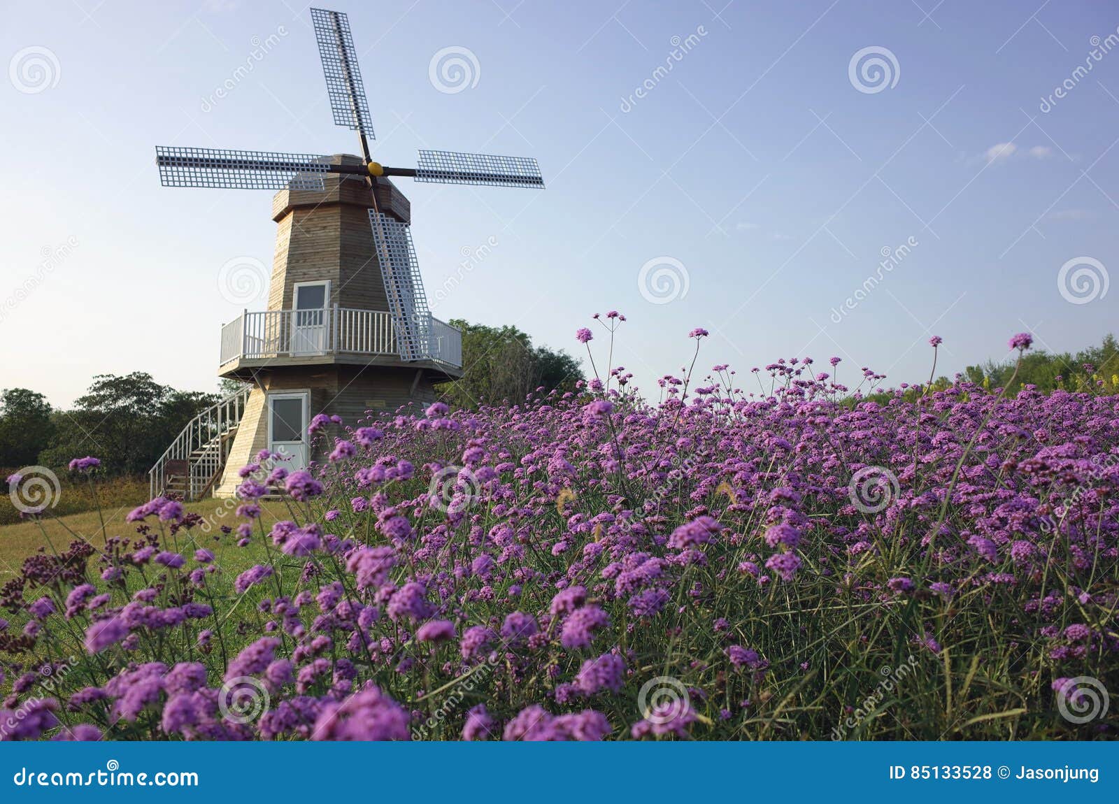 Windmill and flower garden stock photo. Image of dynasty - 85133528