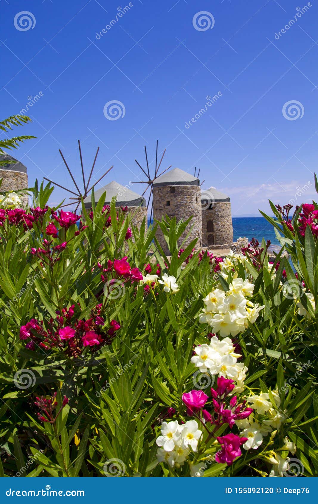 Windmill and Flowers in Chios Island, Greece Stock Photo - Image of ...