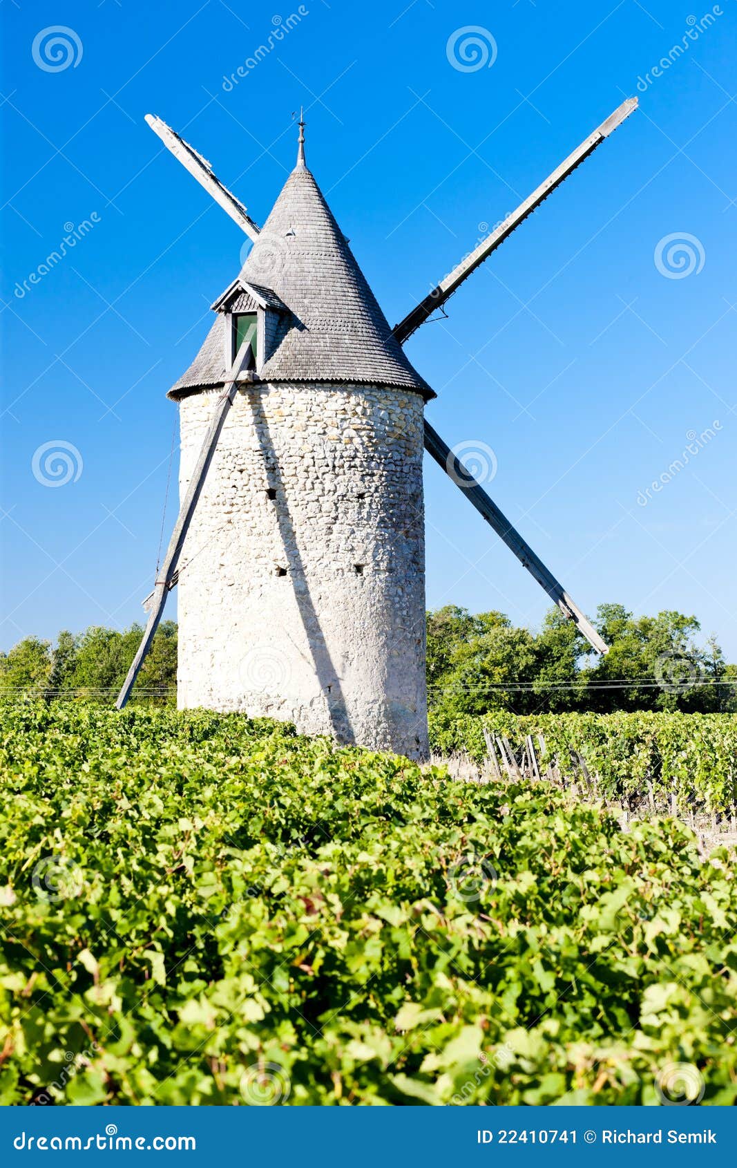 Windmill, France stock image. Image of plant, growing - 22410741