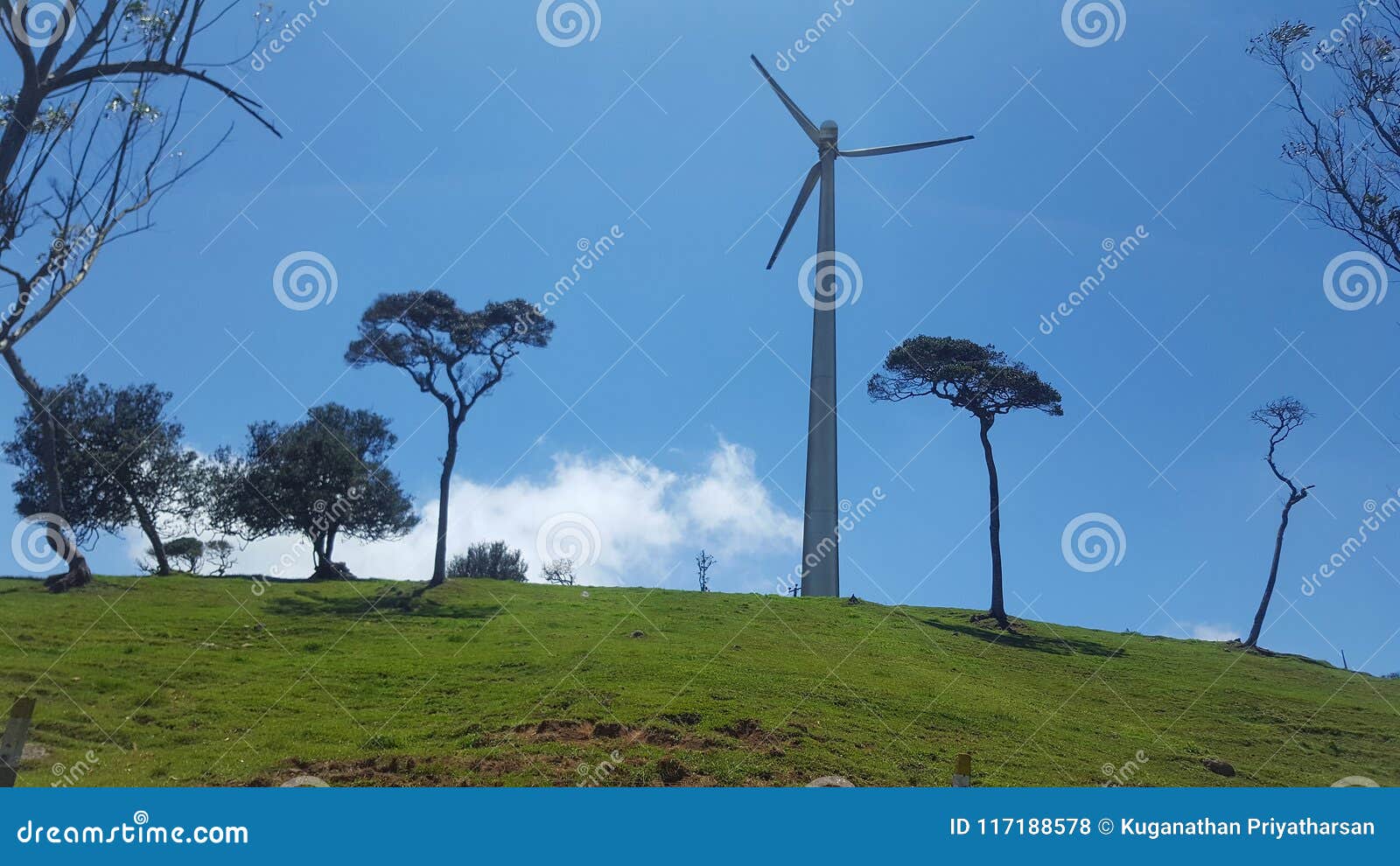 Windmill on the hill stock photo. Image of trees, beautiful - 117188578