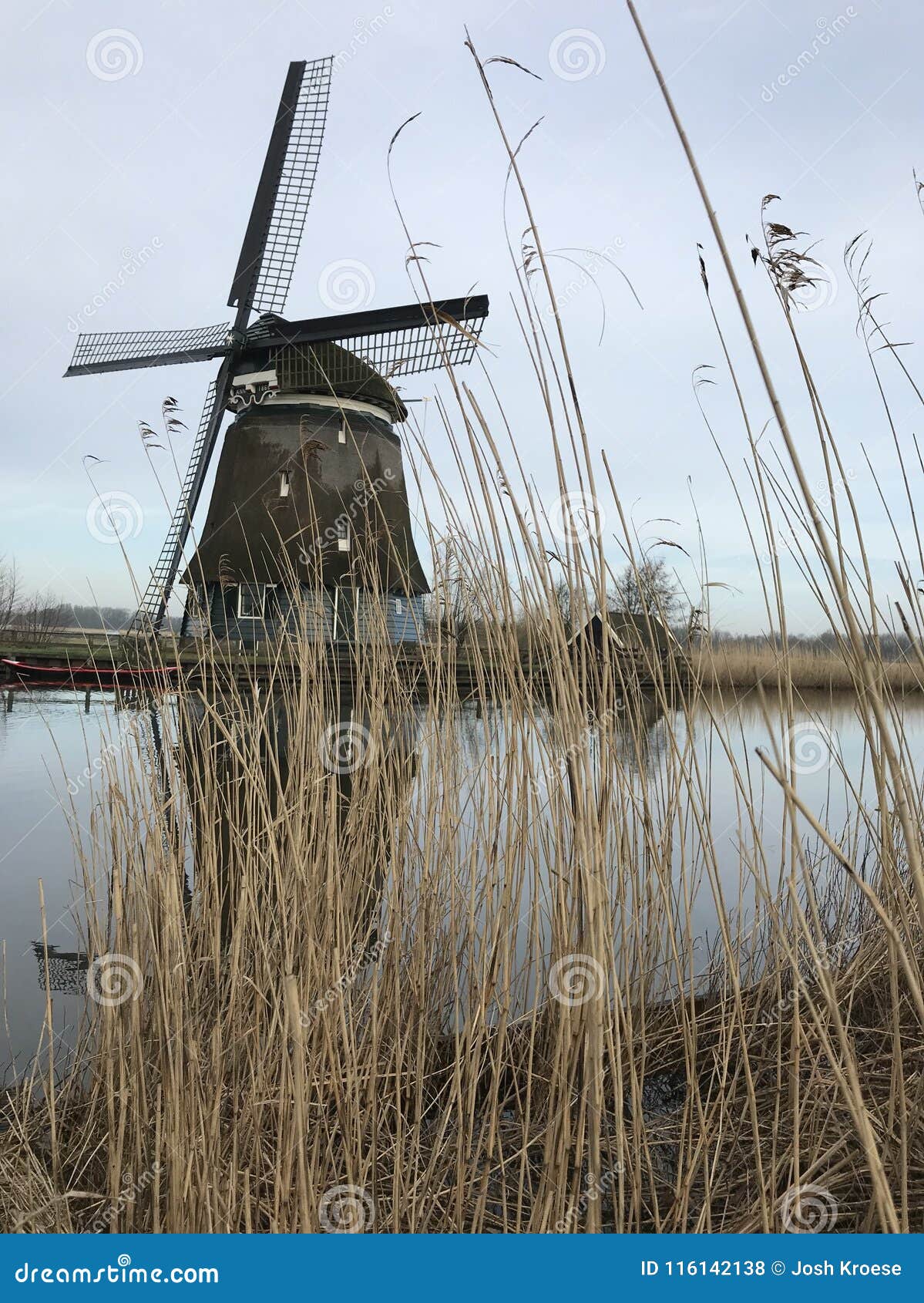 Windmill Home through the Tall Grass Stock Photo - Image of mill, wind ...