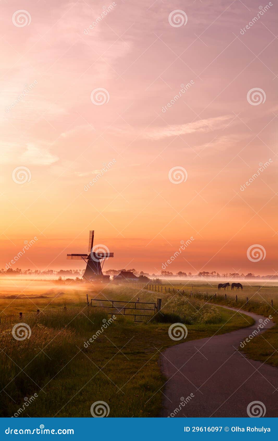 Windmill and Horses on Pasture at Sunrise Stock Image - Image of mist ...