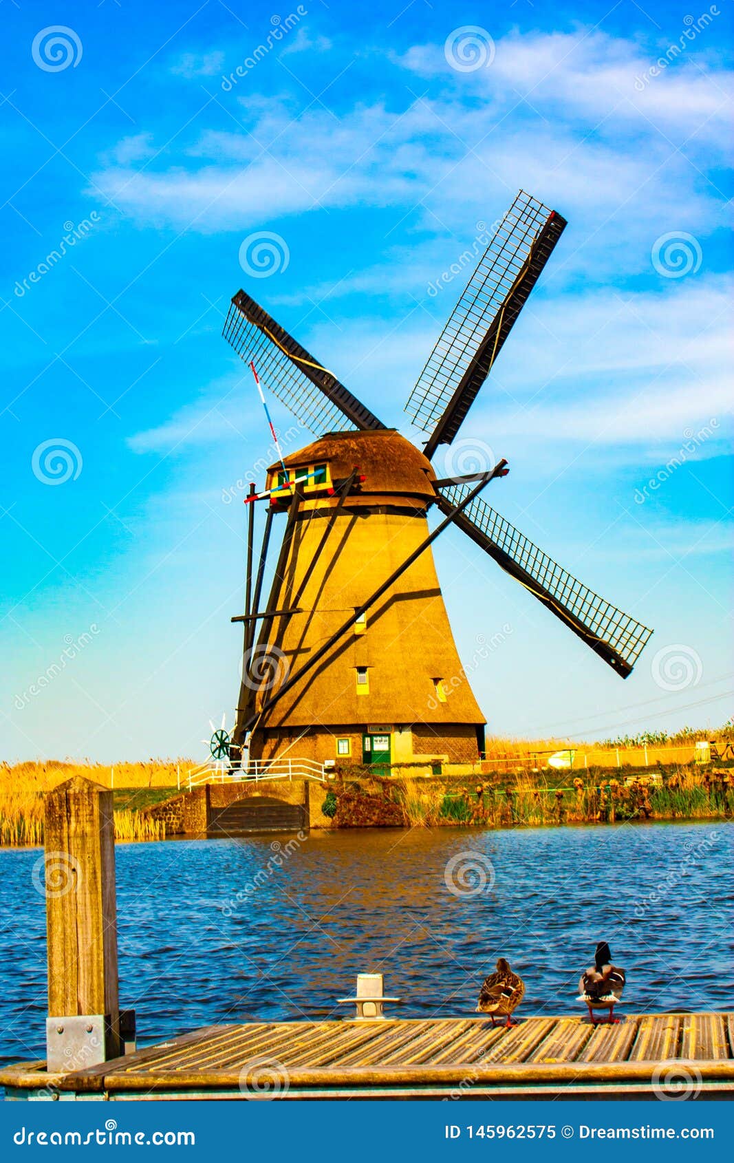 Windmill at Kinderdijk - Beautiful Sunny Day. Stock Image - Image of ...