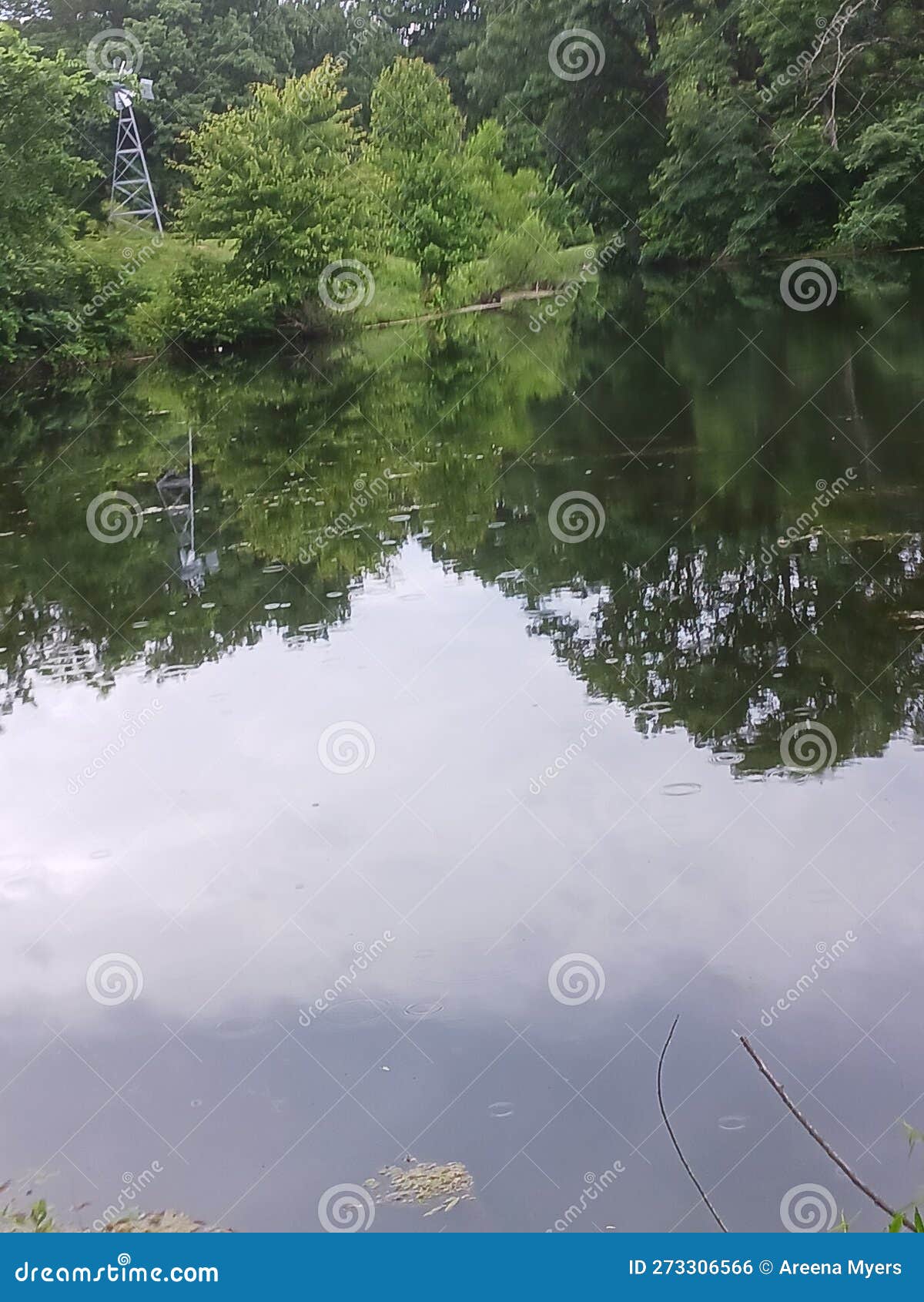 Windmill, Lake, Trees , Rain, Reflections, Stock Photo - Image of trees ...