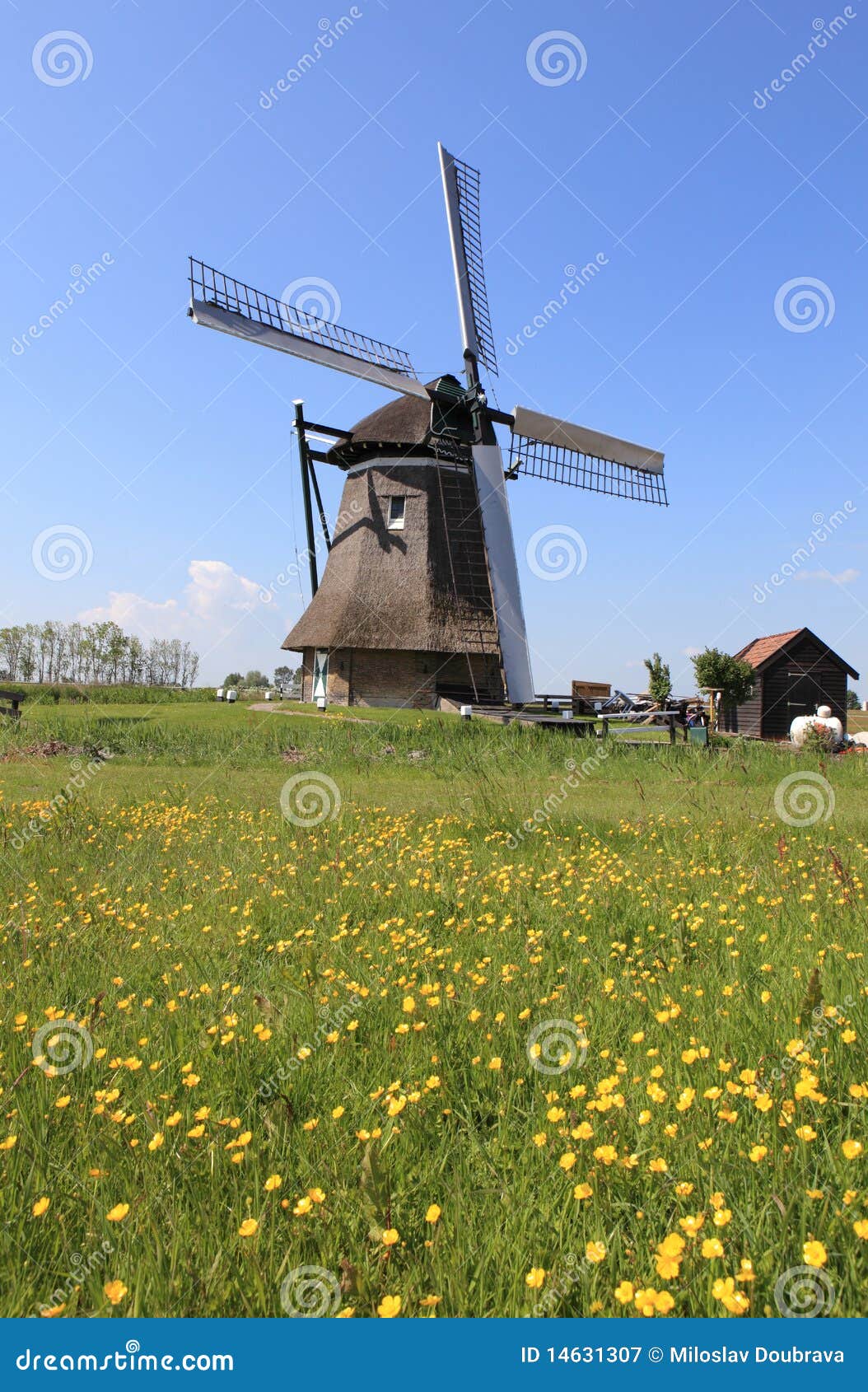 Windmill in the Netherlands Stock Image - Image of scenic, friesland ...