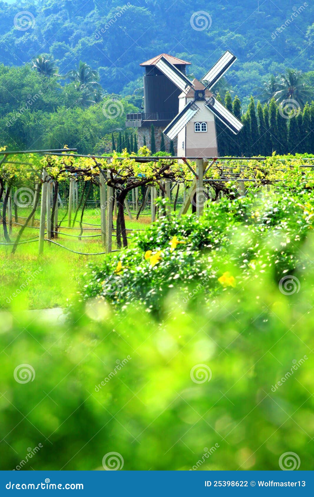 Windmill Netherlands Style in Flower Gar Stock Photo - Image of ...