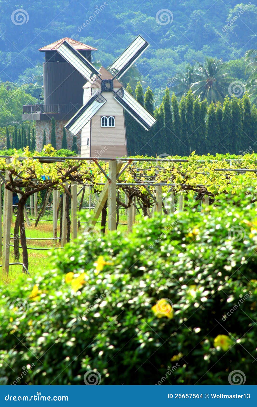 Windmill Netherlands Style in Flower Gar Stock Photo - Image of ...