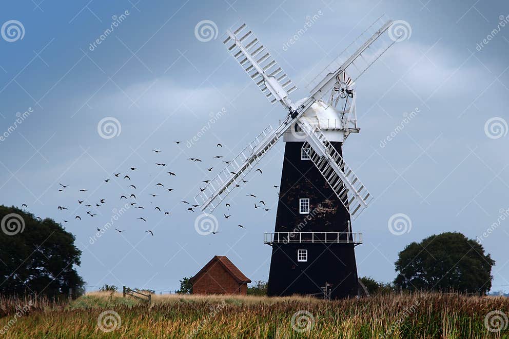 Windmill on Norfolk Broads stock photo. Image of windmill - 10842088