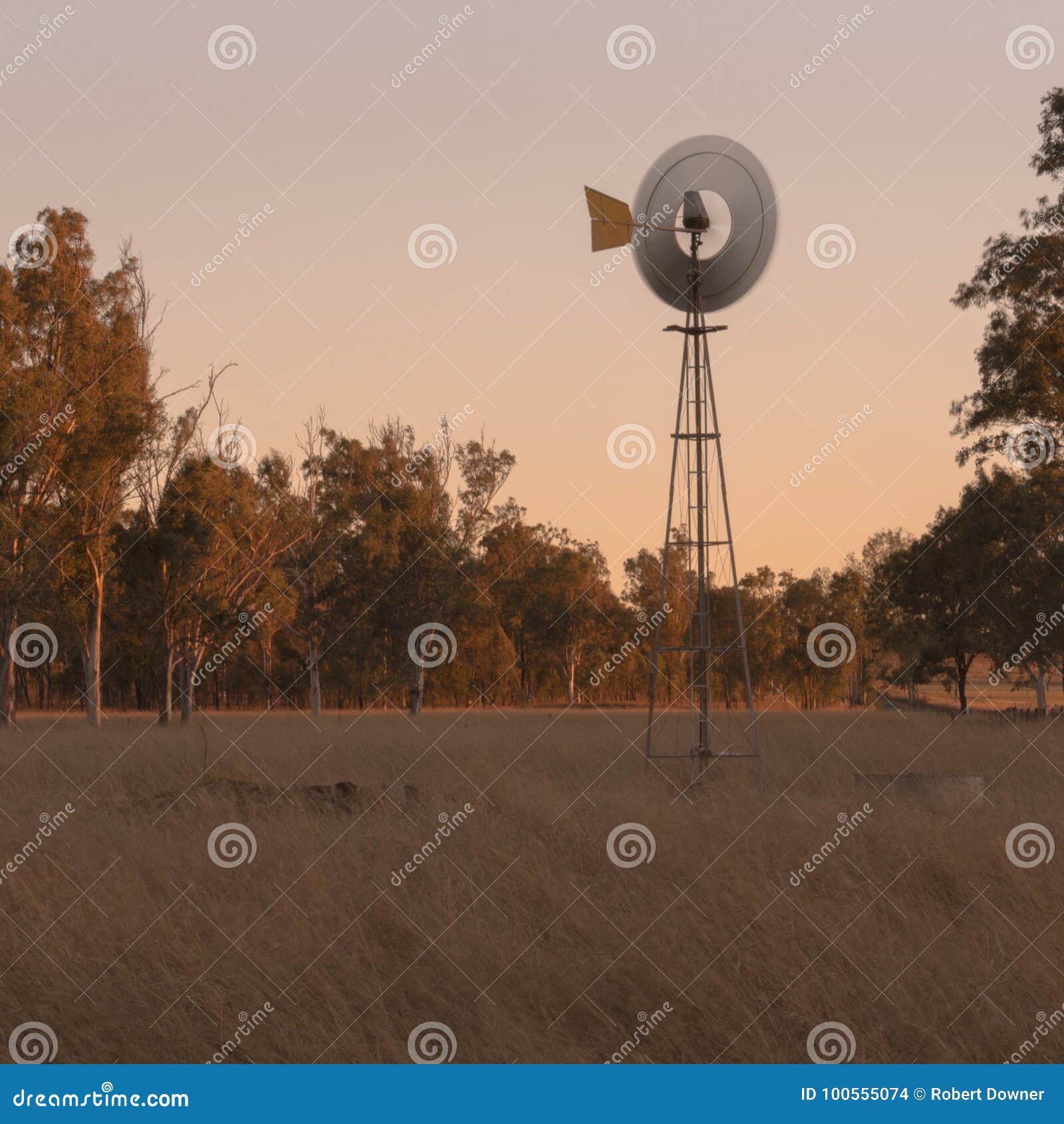 Windmill in a paddock stock photo. Image of field, agriculture - 100555074
