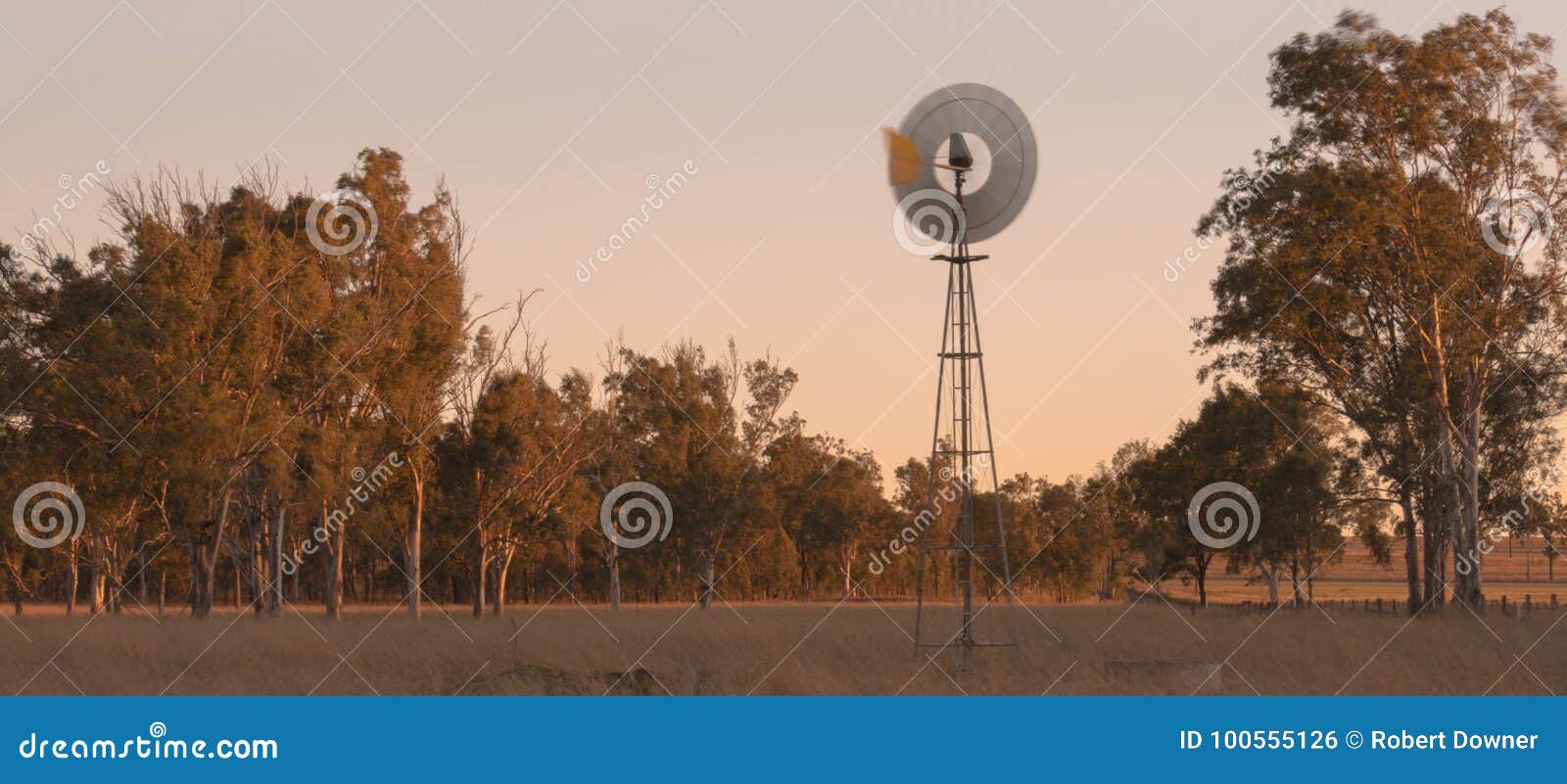 Windmill in a paddock stock photo. Image of farmland - 100555126