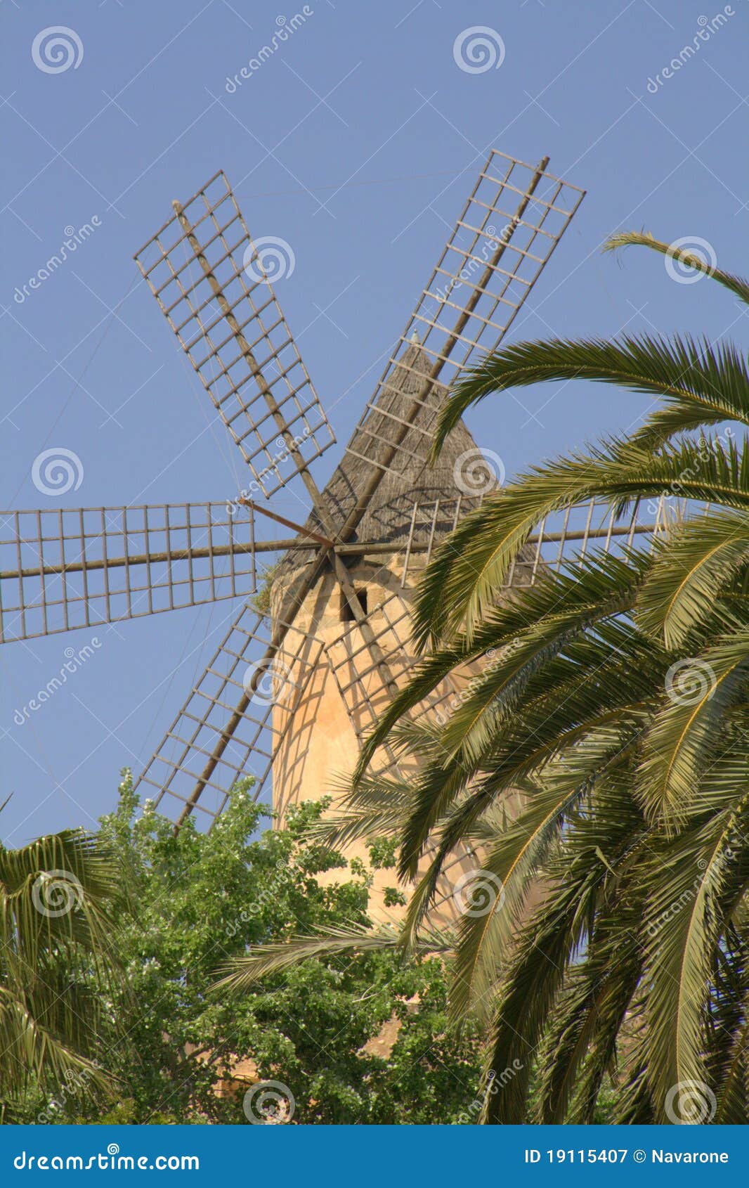 Windmill and palm trees stock image. Image of tropical - 19115407
