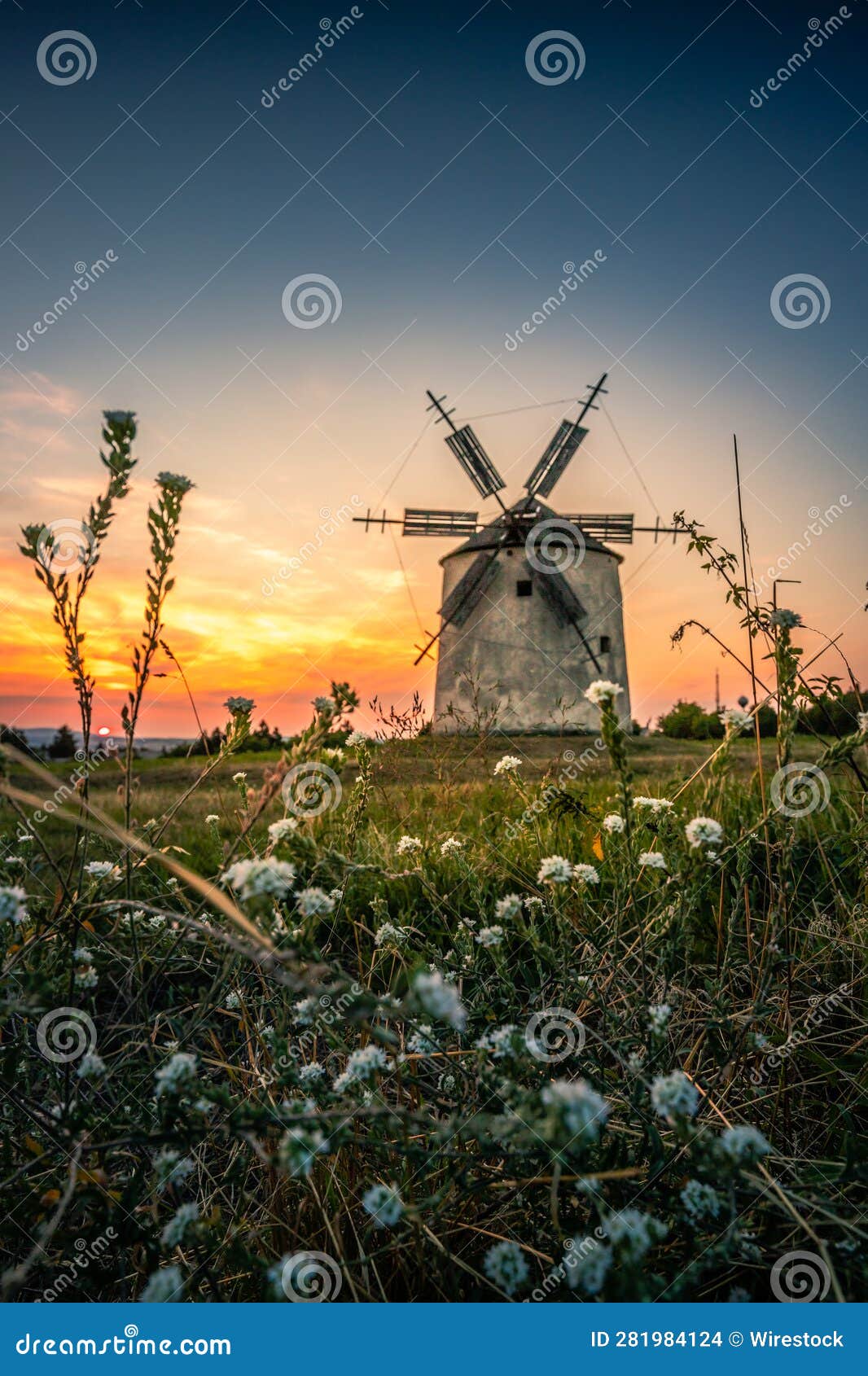 Windmill in a Picturesque Rural Setting Surrounded by Lush Green Grass ...