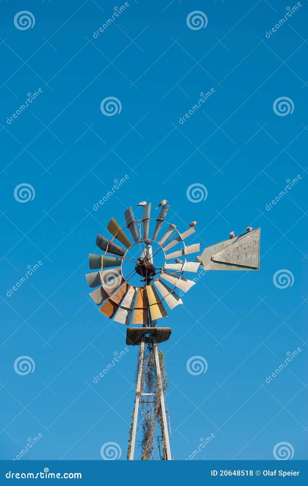Windmill pump stock photo. Image of antique, rotate, overgrown - 20648518