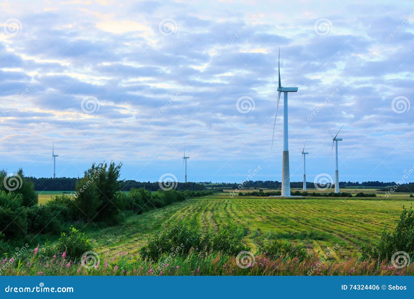 Windmill on Rural Field in the Sunset. Wind Turbines Farm. Stock Photo ...