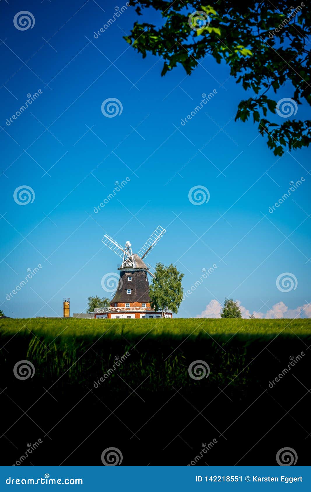 Windmill in Spring Behind a Grain Field Stock Image - Image of canal ...