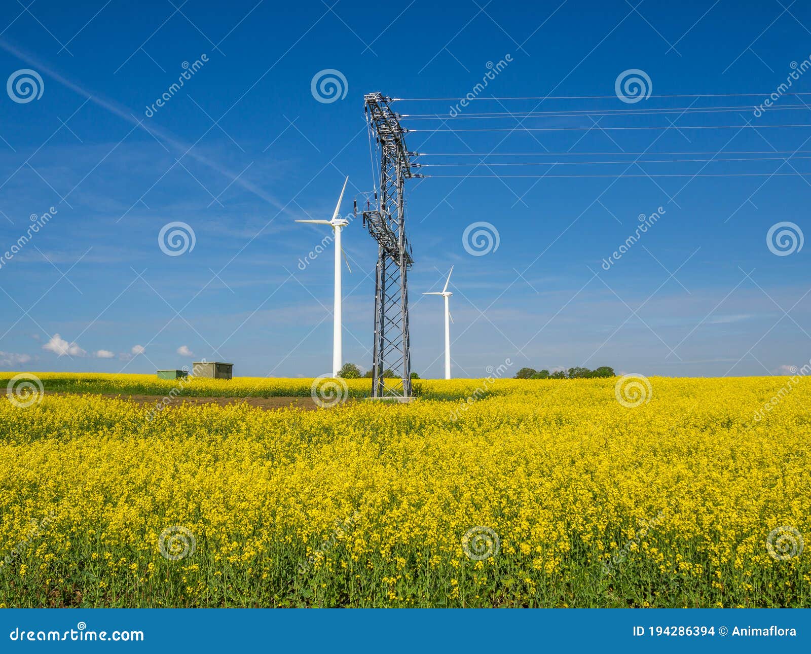 Windmill and Stromast in the Field Stock Photo - Image of raps, clean ...