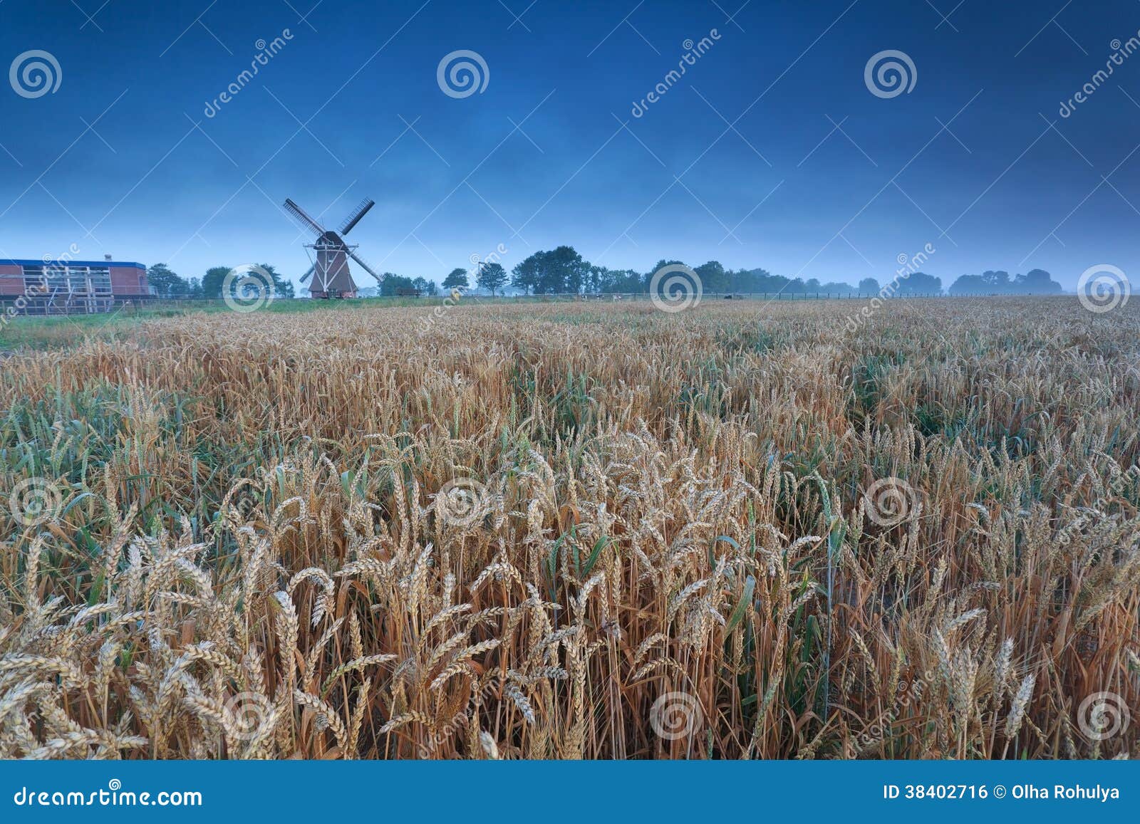 Windmill on Wheat Field in Dusk Stock Photo - Image of mist, farmland ...