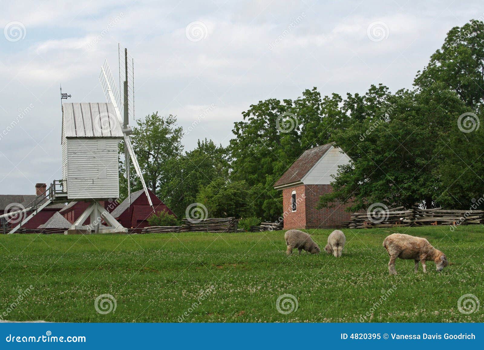 Windmill at Williamsburg editorial image. Image of colonial - 4820395