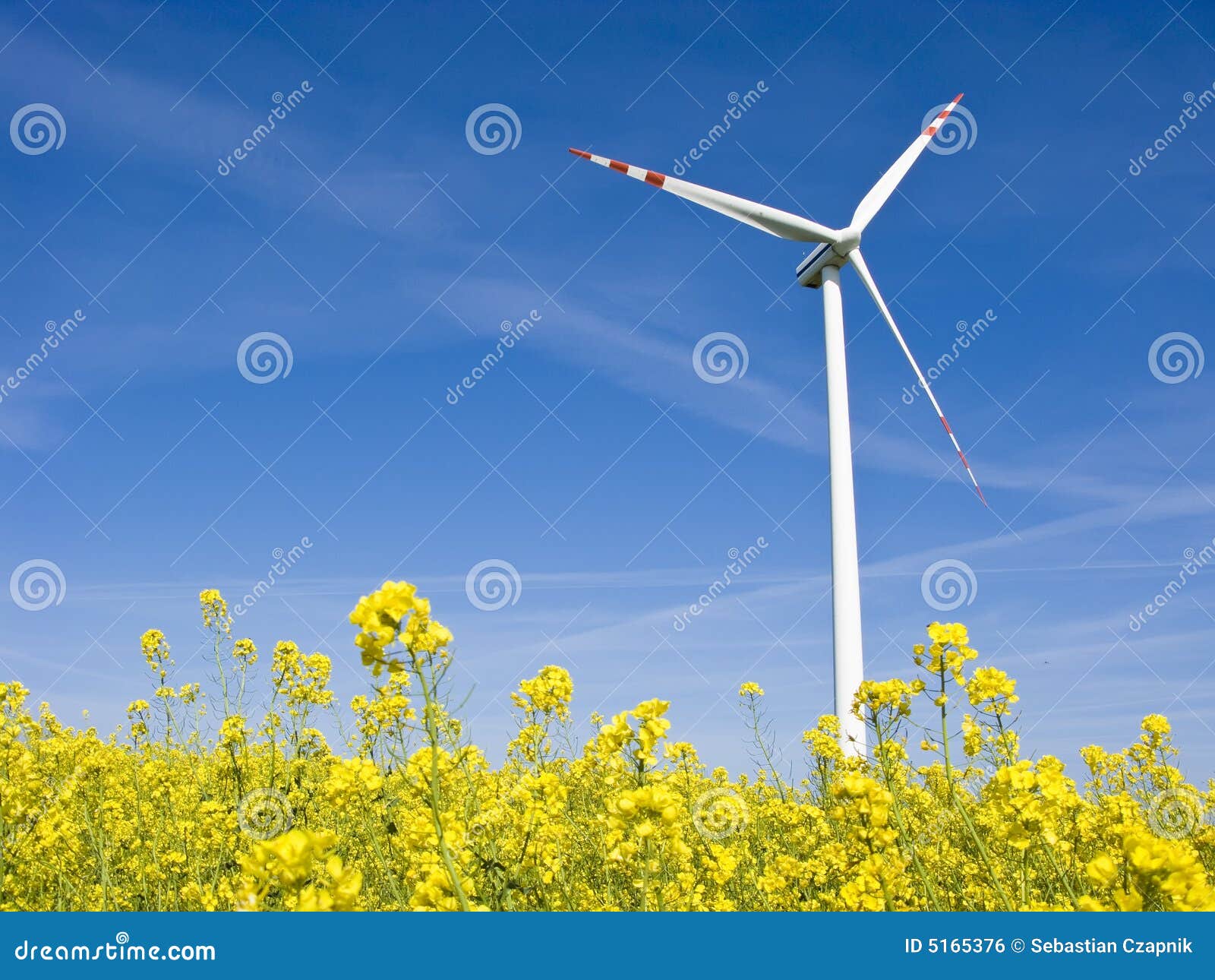 Windmill in yellow field stock photo. Image of agriculture - 5165376