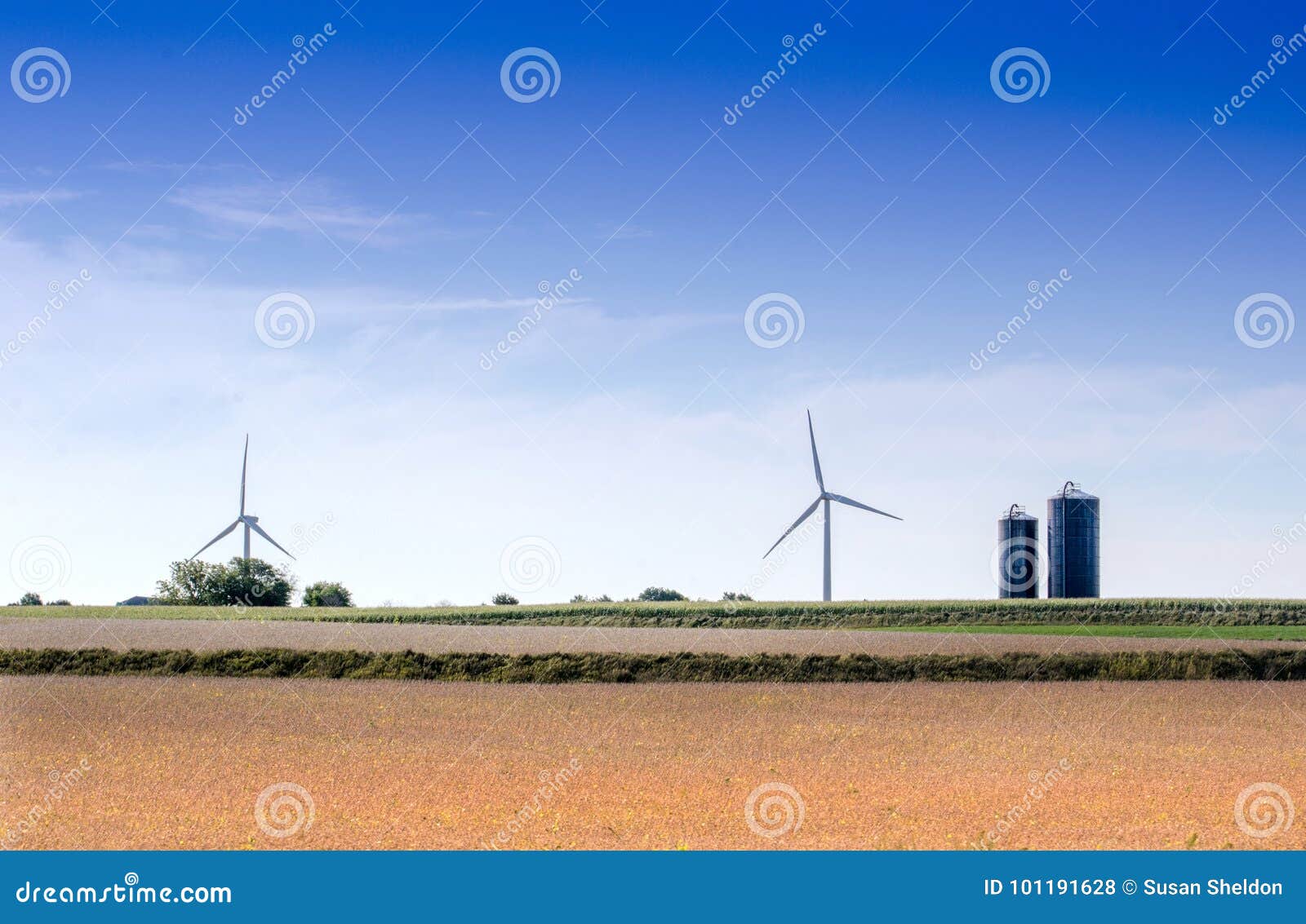 Windmills on Farm in the Midwest Stock Photo - Image of farm, renewable ...