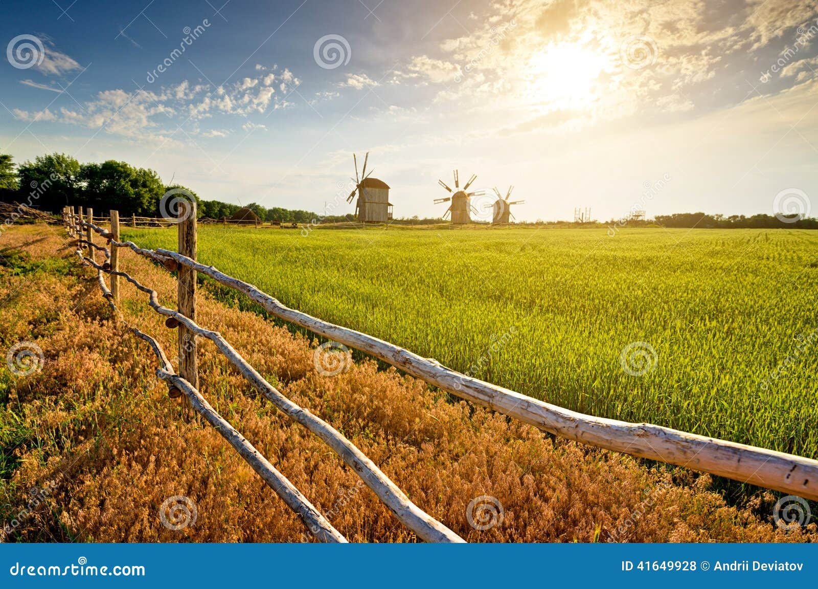 Windmills on Field at Sunset Stock Photo - Image of bright, pattern ...