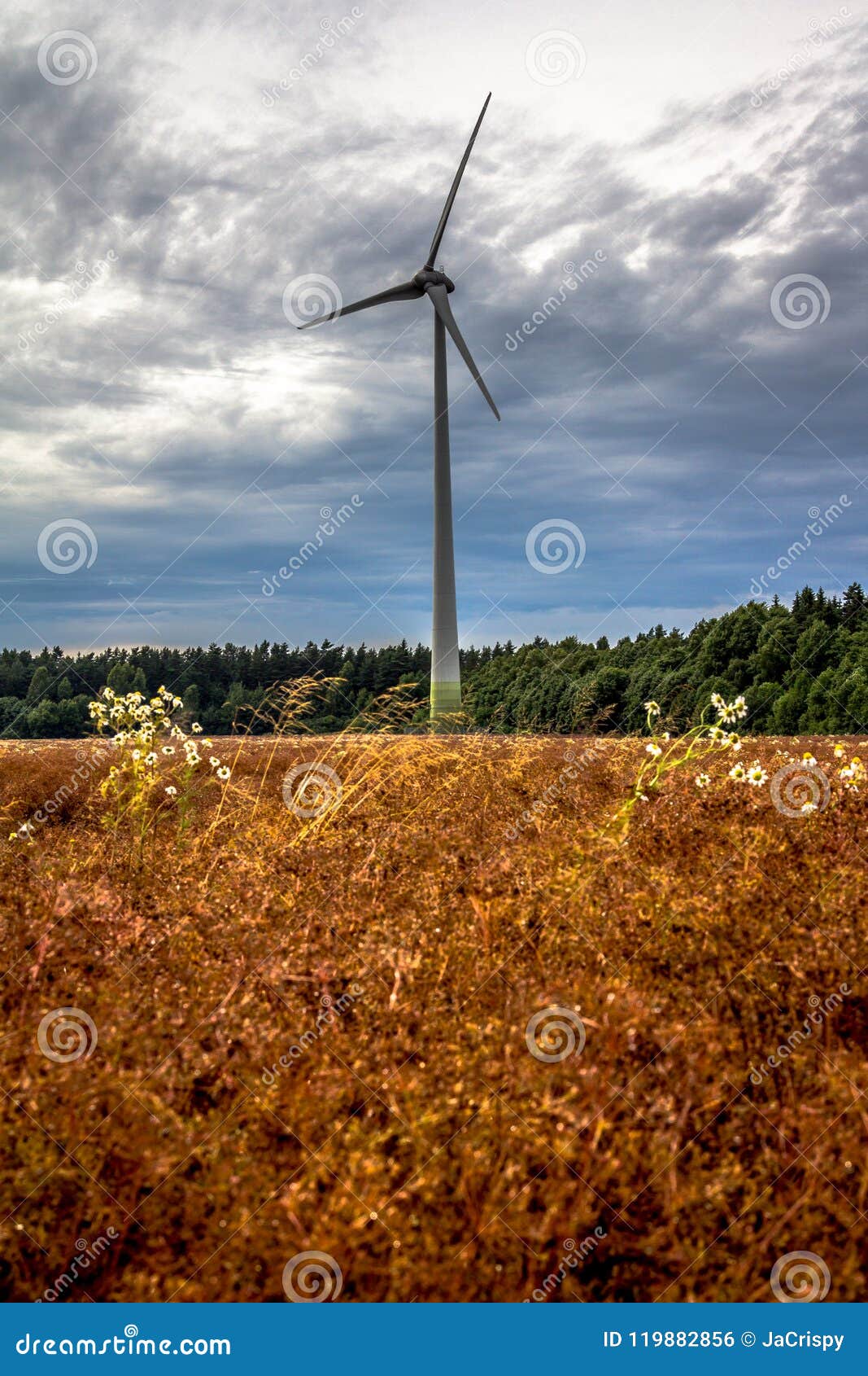 Windmills in the Fields with Dramatic Rain Clouds in the Background ...