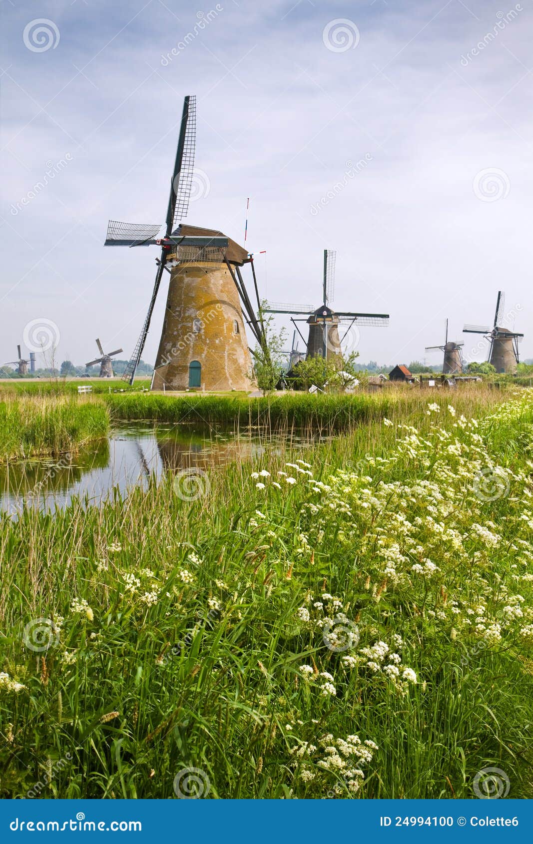 Windmills at Kinderdijk, the Netherlands in Spring Stock Photo - Image ...