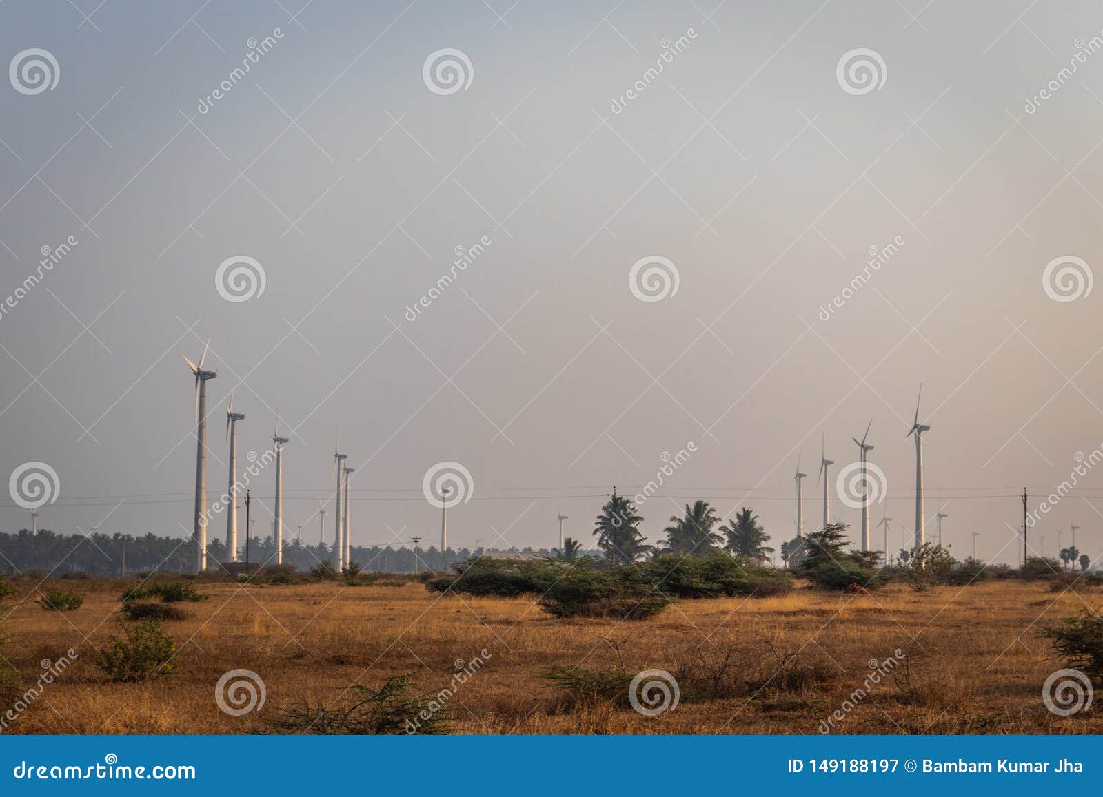 Windmills, Many Wind Turbines Standing On Field With Lush Green Grass ...
