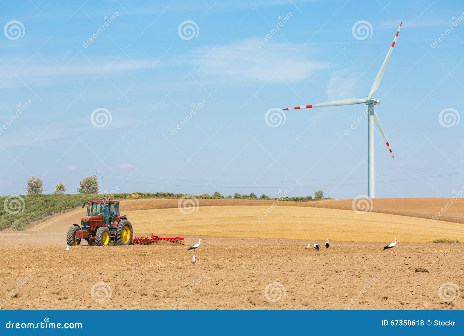 Windmills and Tractor on the Field with Storks Stock Photo - Image of ...