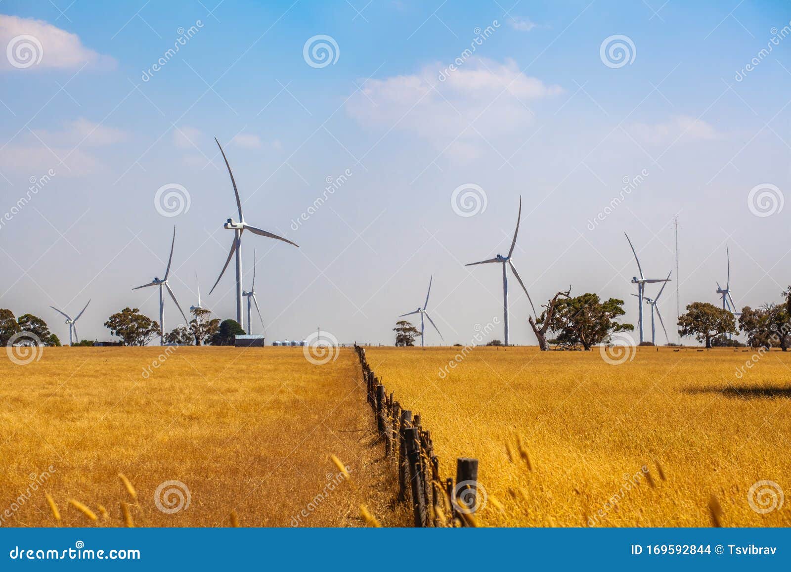 Windmills among a Wheat Field. Stock Photo - Image of equipment ...