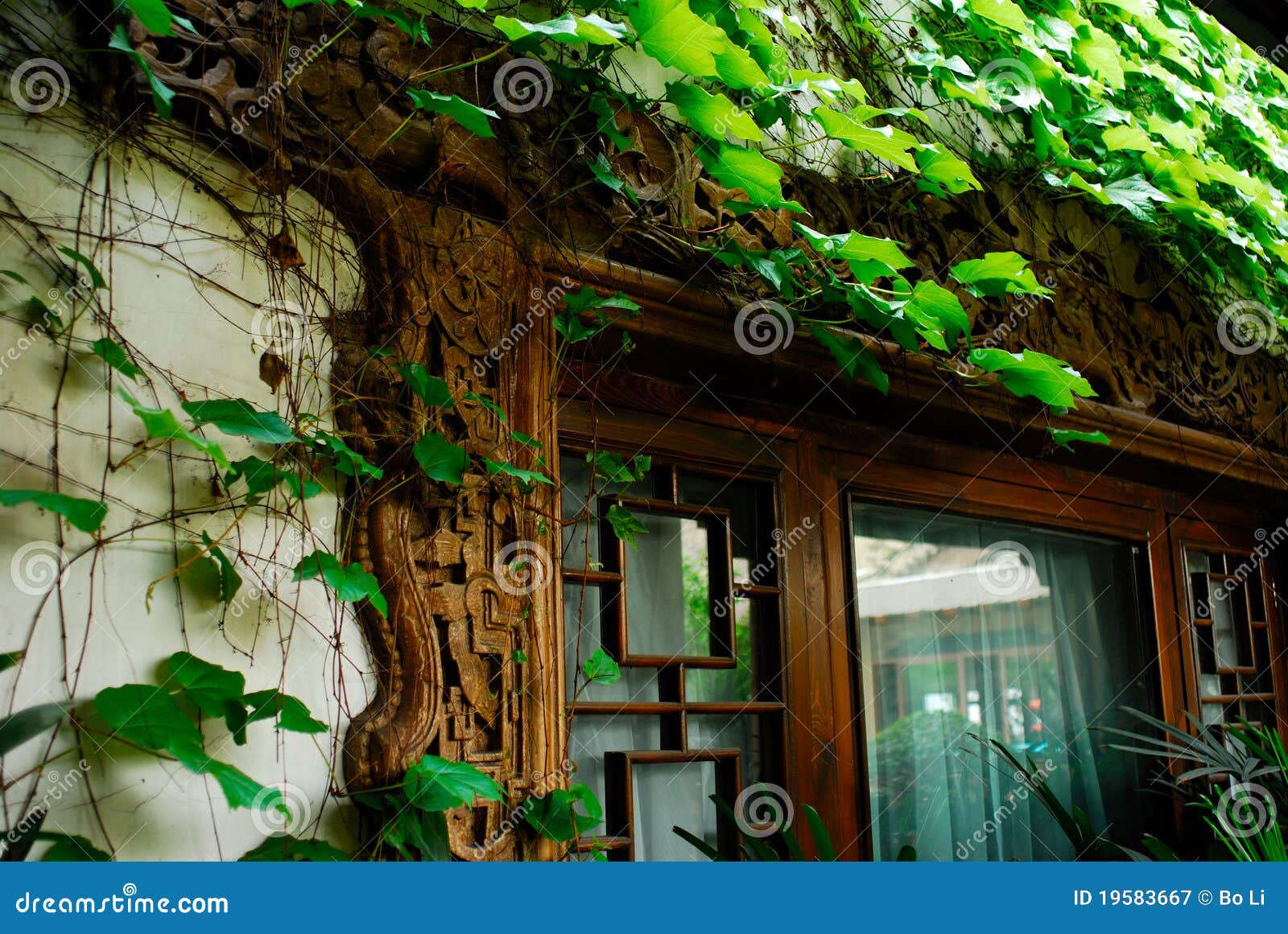 Window stock image. Image of tradition, style, vines - 19583667