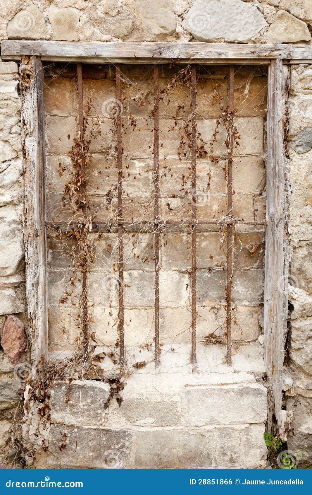 Old Stoner Stock Photos - Free & Royalty-Free Stock Photos from Dreamstime