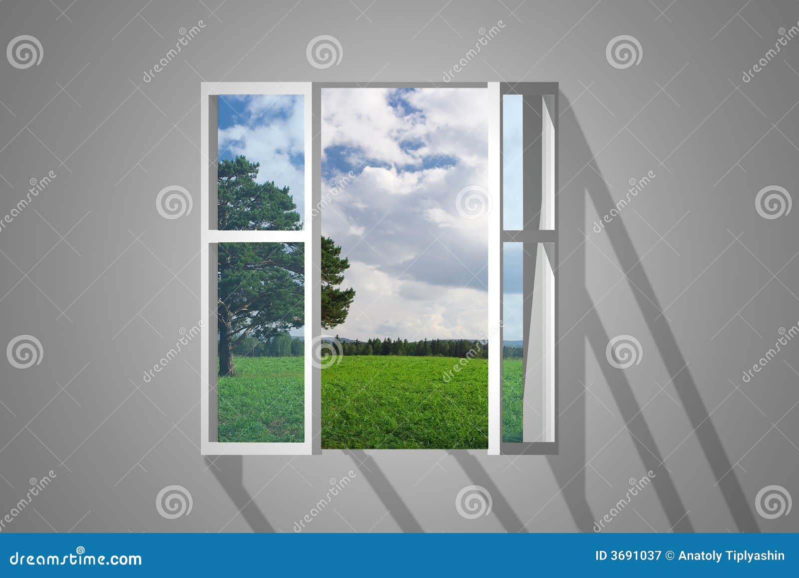 Window stock image. Image of grow, cornfield, countryside - 3691037