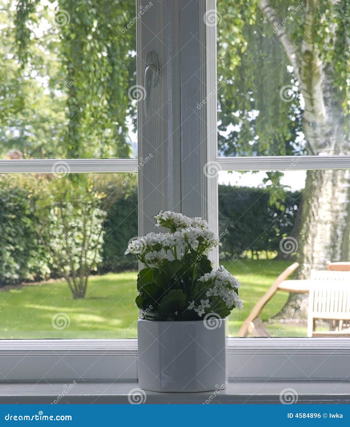 Window stock photo. Image of decor, noon, green, life - 4584896