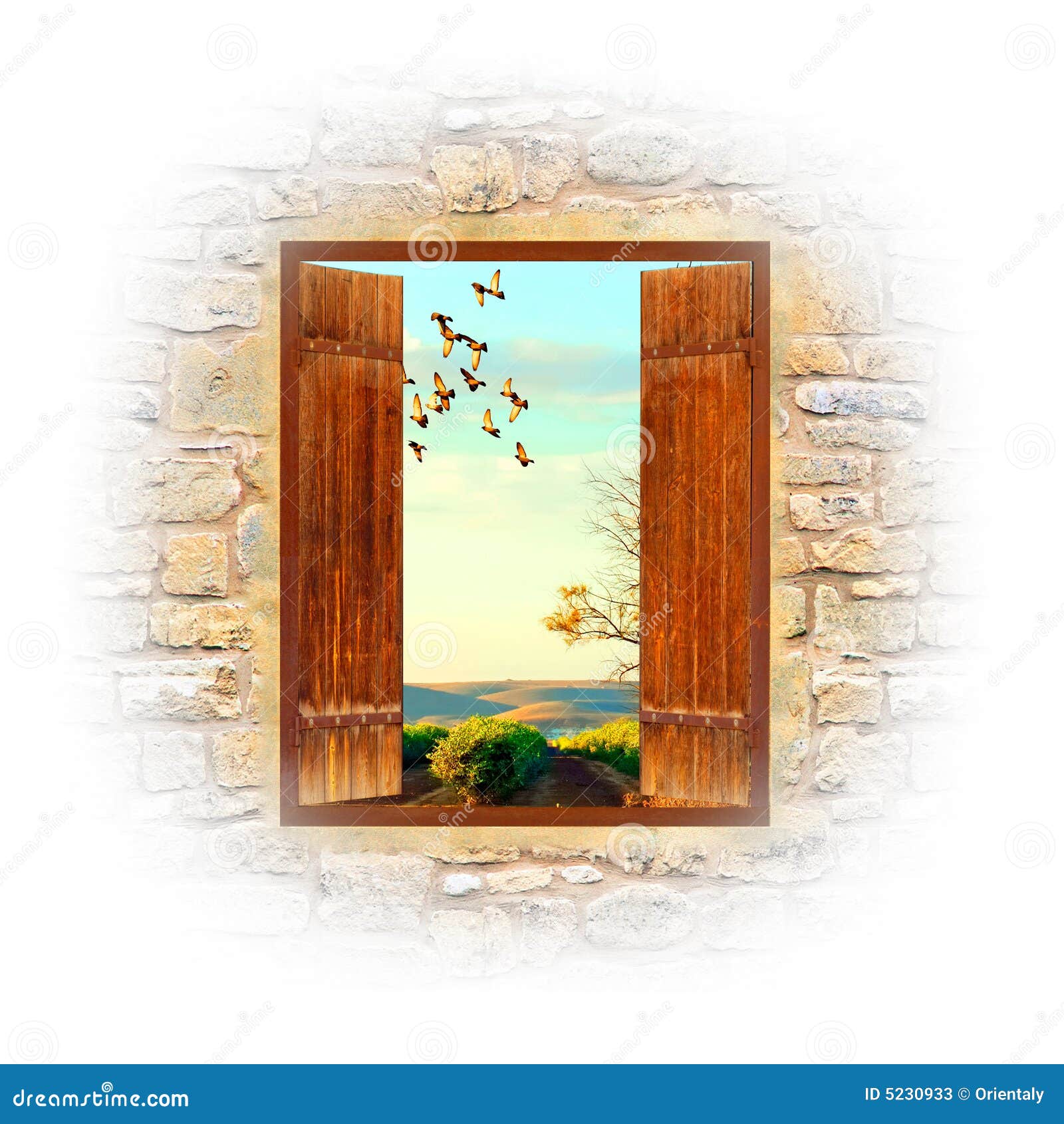 Window stock image. Image of empty, white, background - 5230933