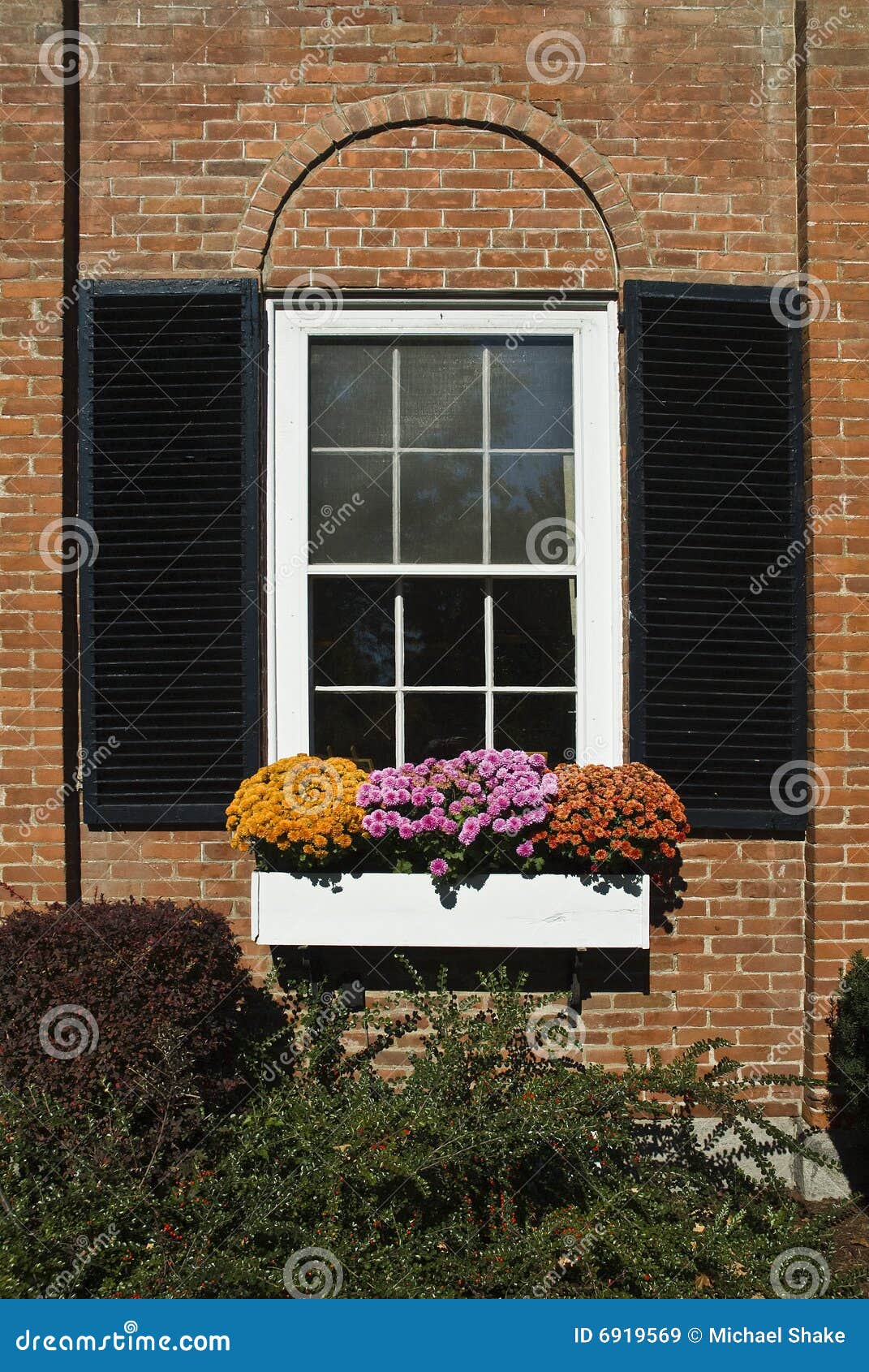 Window stock image. Image of blooming, architecture, flowers - 6919569