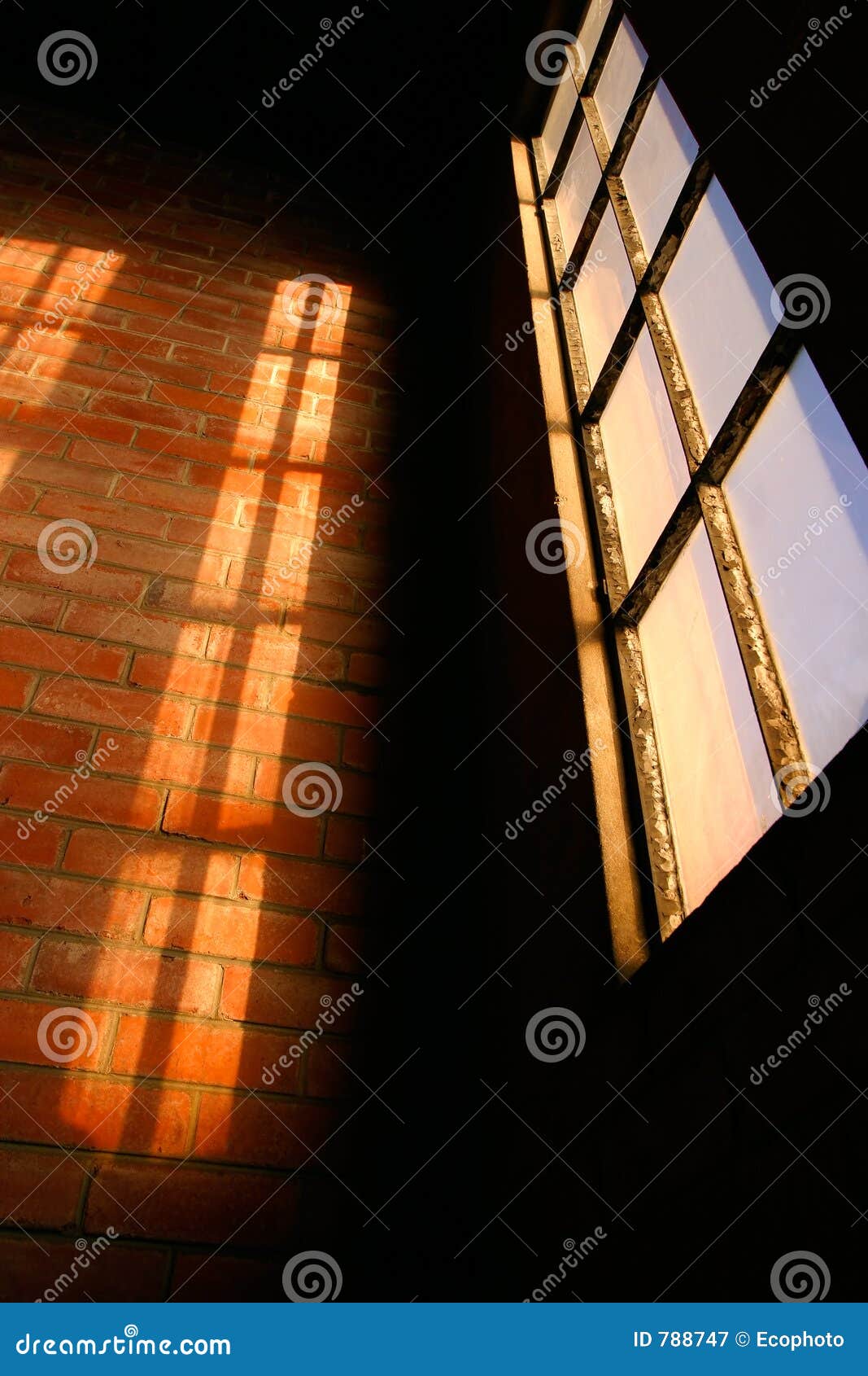 Window stock image. Image of sunshine, frame, glass, light - 788747