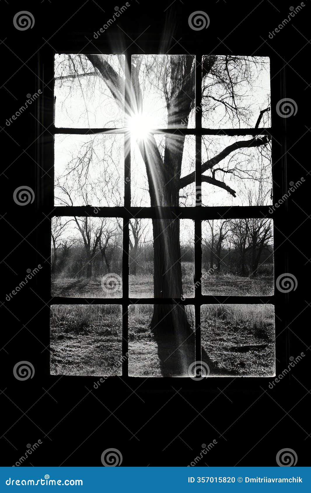 A Window Allows Sunlight To Pour in, Revealing Trees and a House. Stock ...