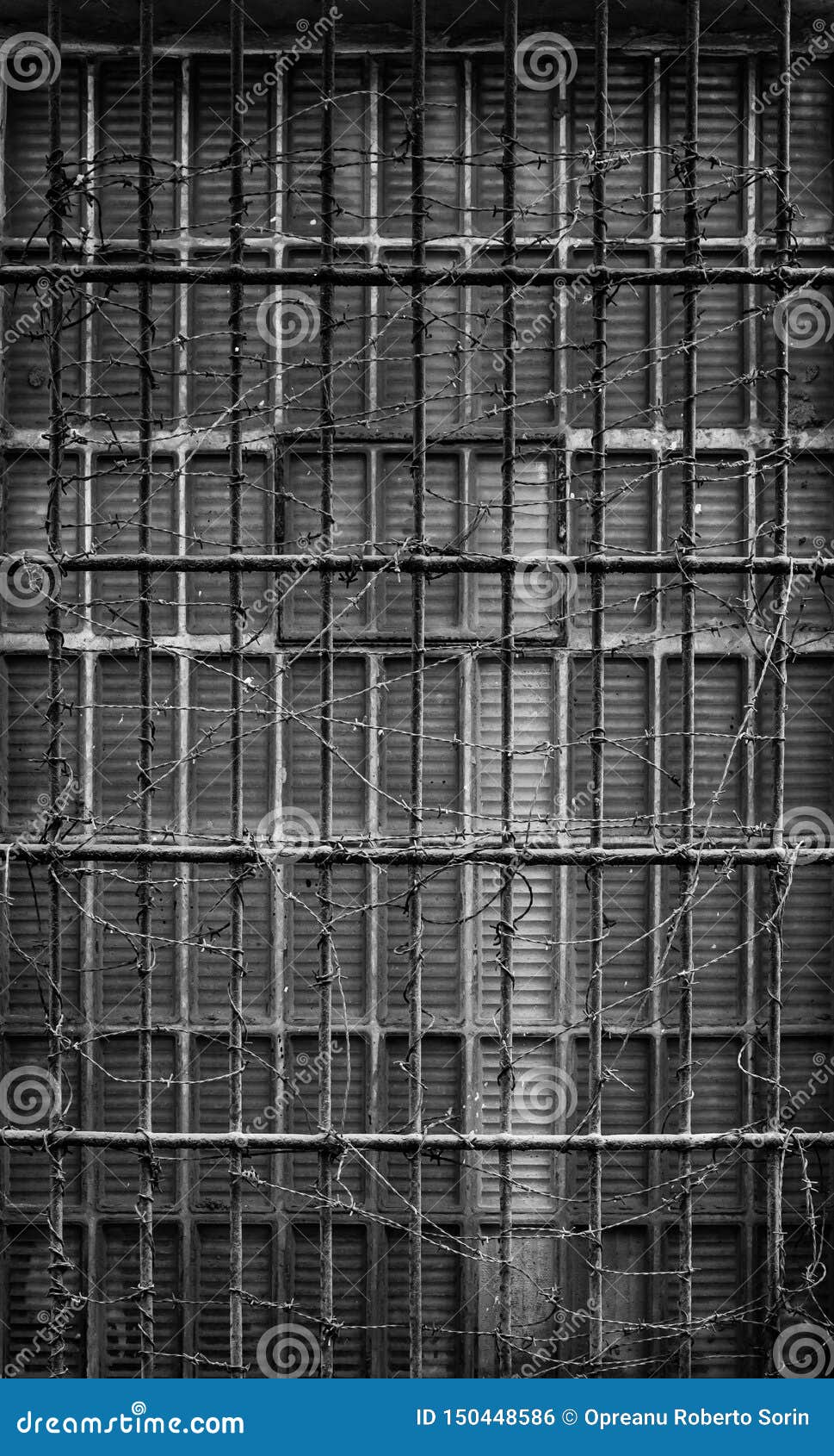 Window With Barb Wire Royalty-Free Stock Photography | CartoonDealer ...
